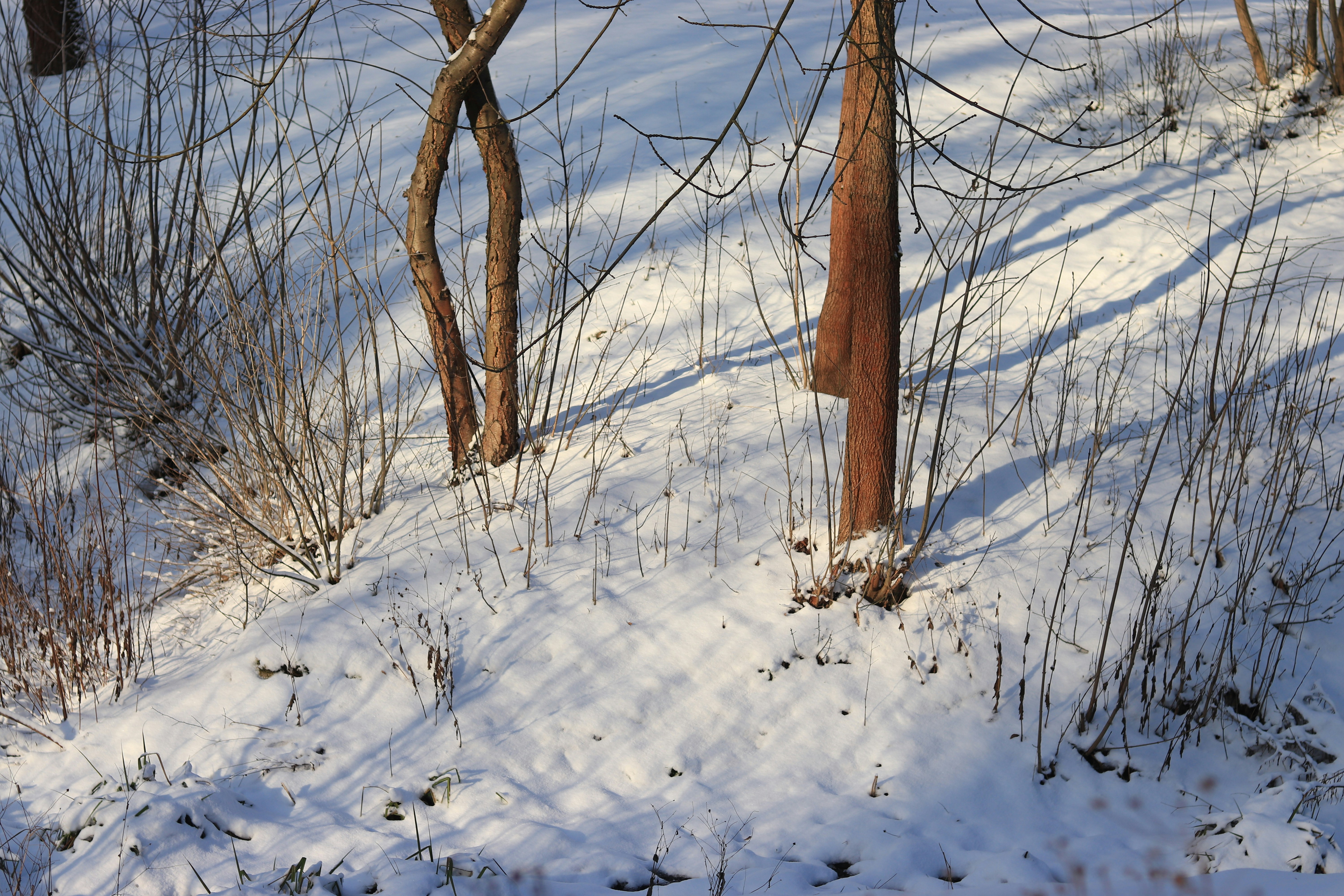 Photo by Maja Martynowska with Canon EOS 200D