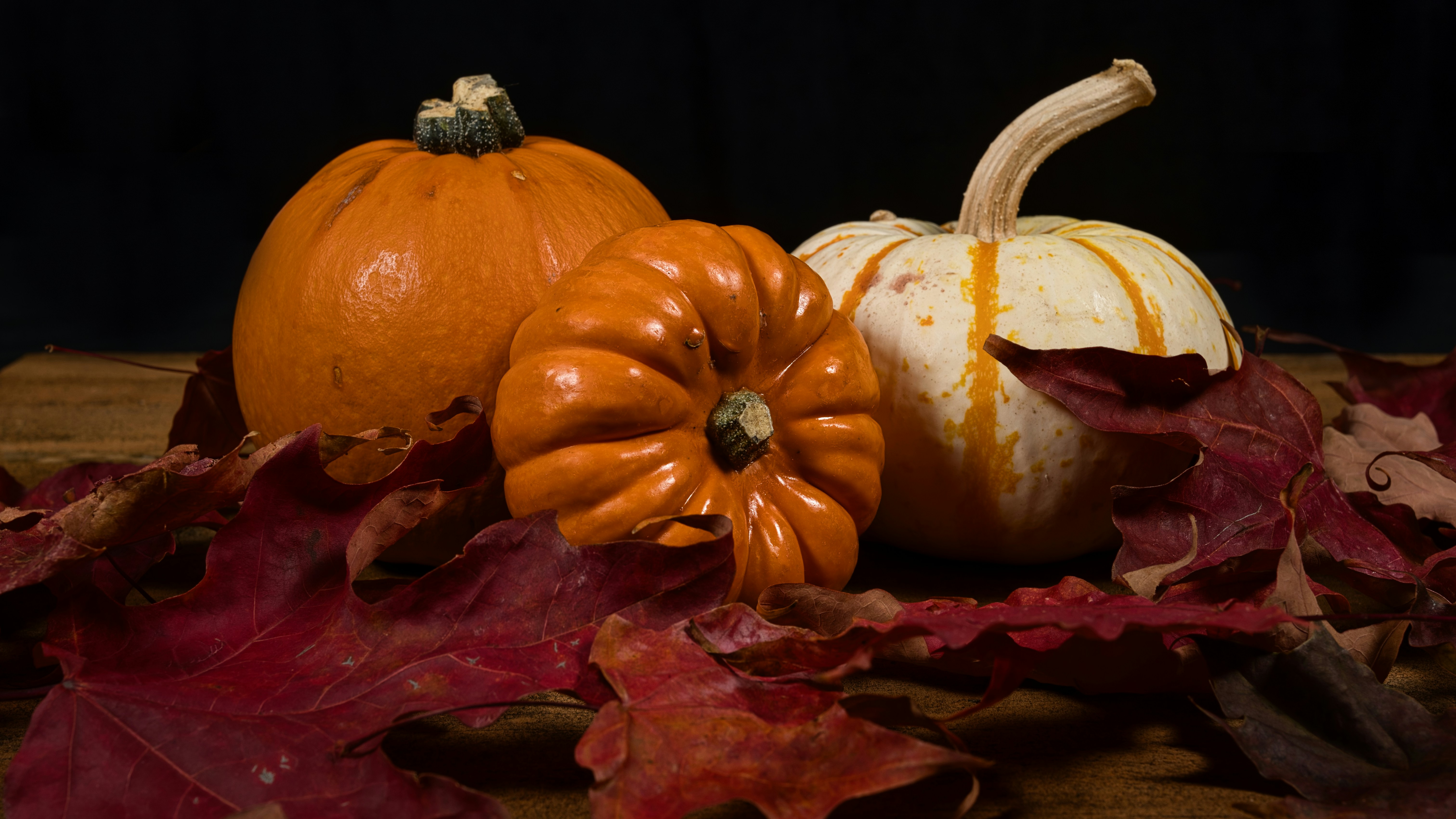 Harvest Harmony: A Trio of Autumn's Bounty