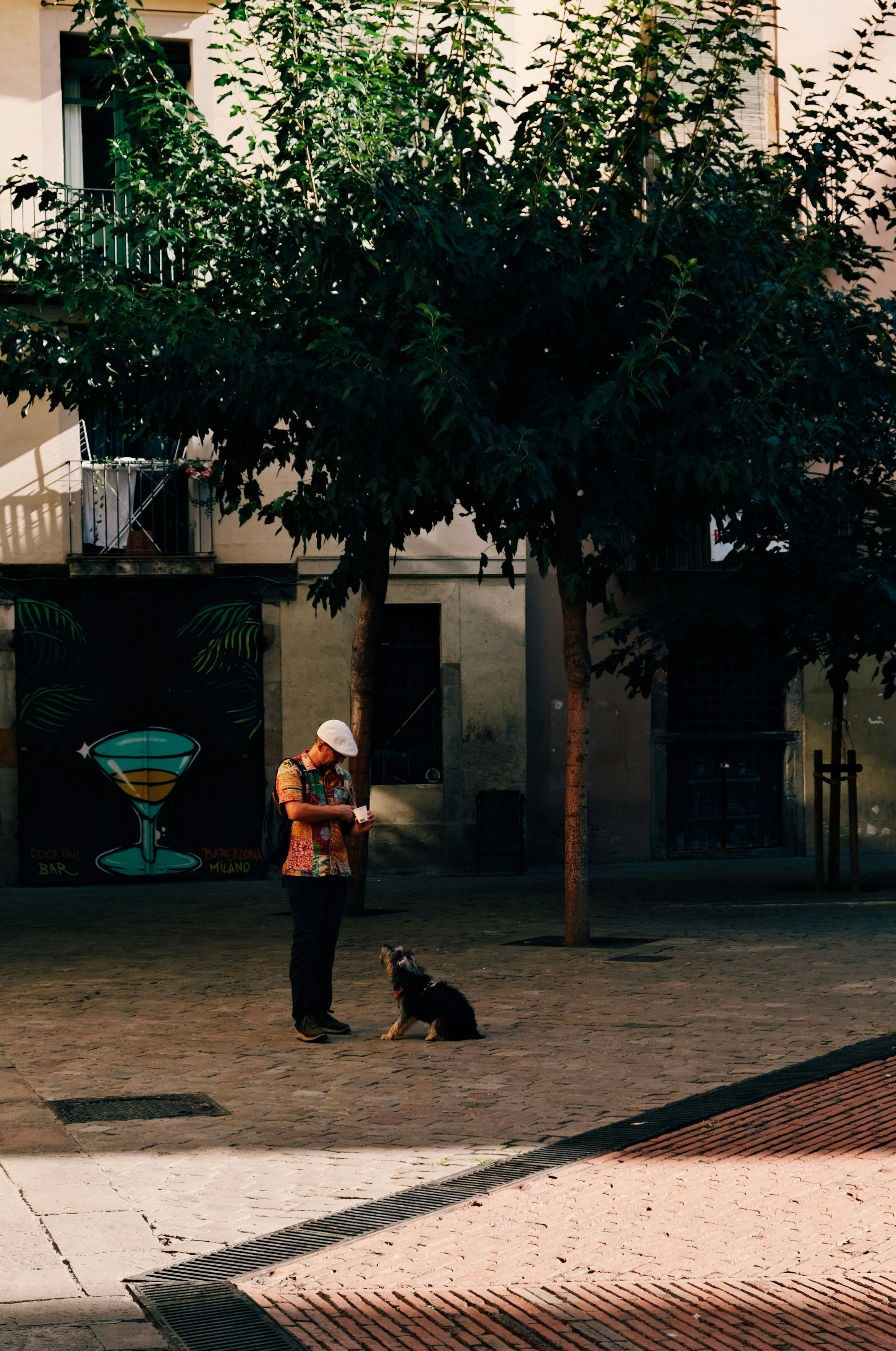 A person in a colorful shirt interacts with a dog in a sunlit plaza, framed by lush trees and a vibrant mural. The scene captures a tranquil urban moment.
