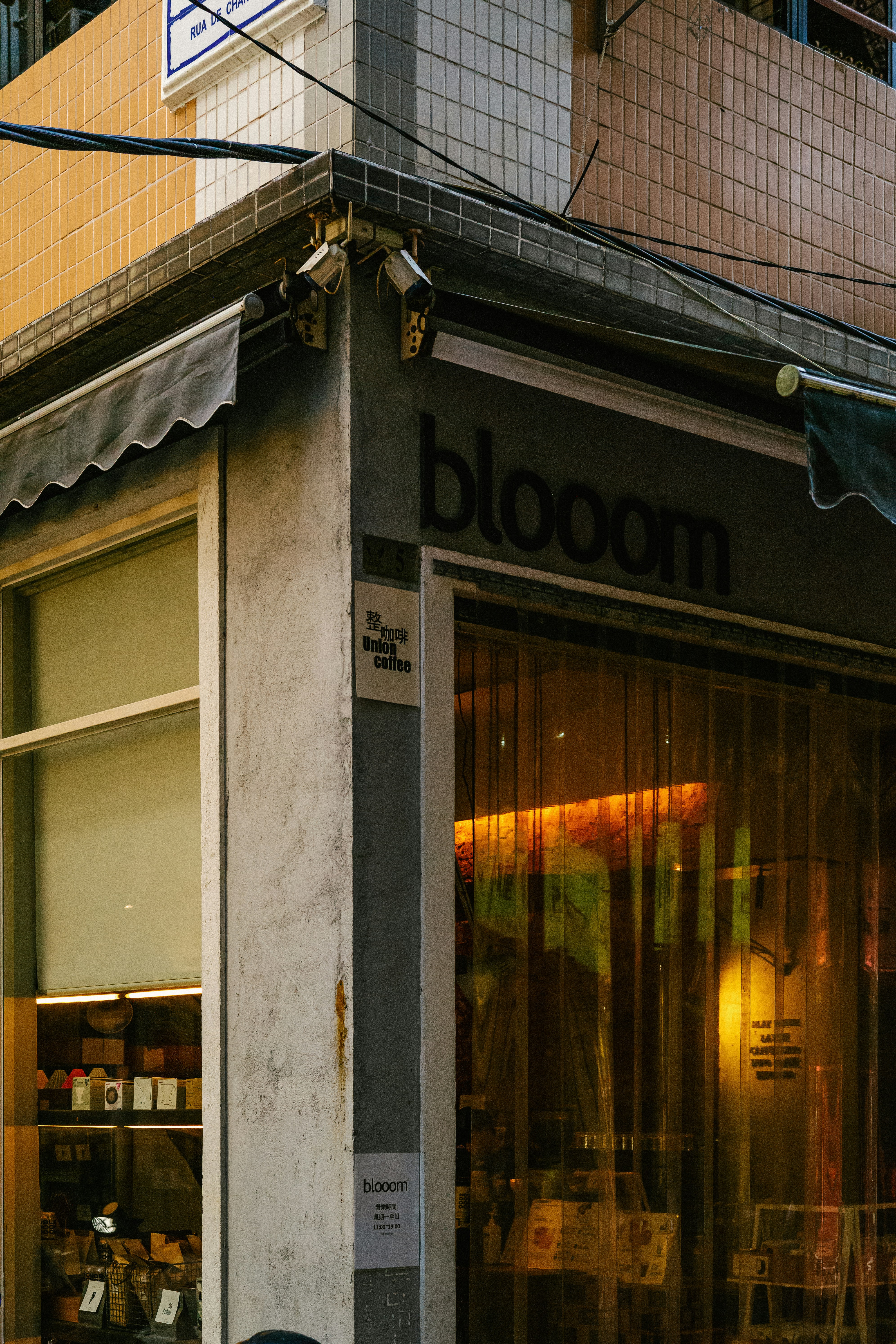 Bloom on the Corner: A Golden-Cinted Coffee Shop Studio