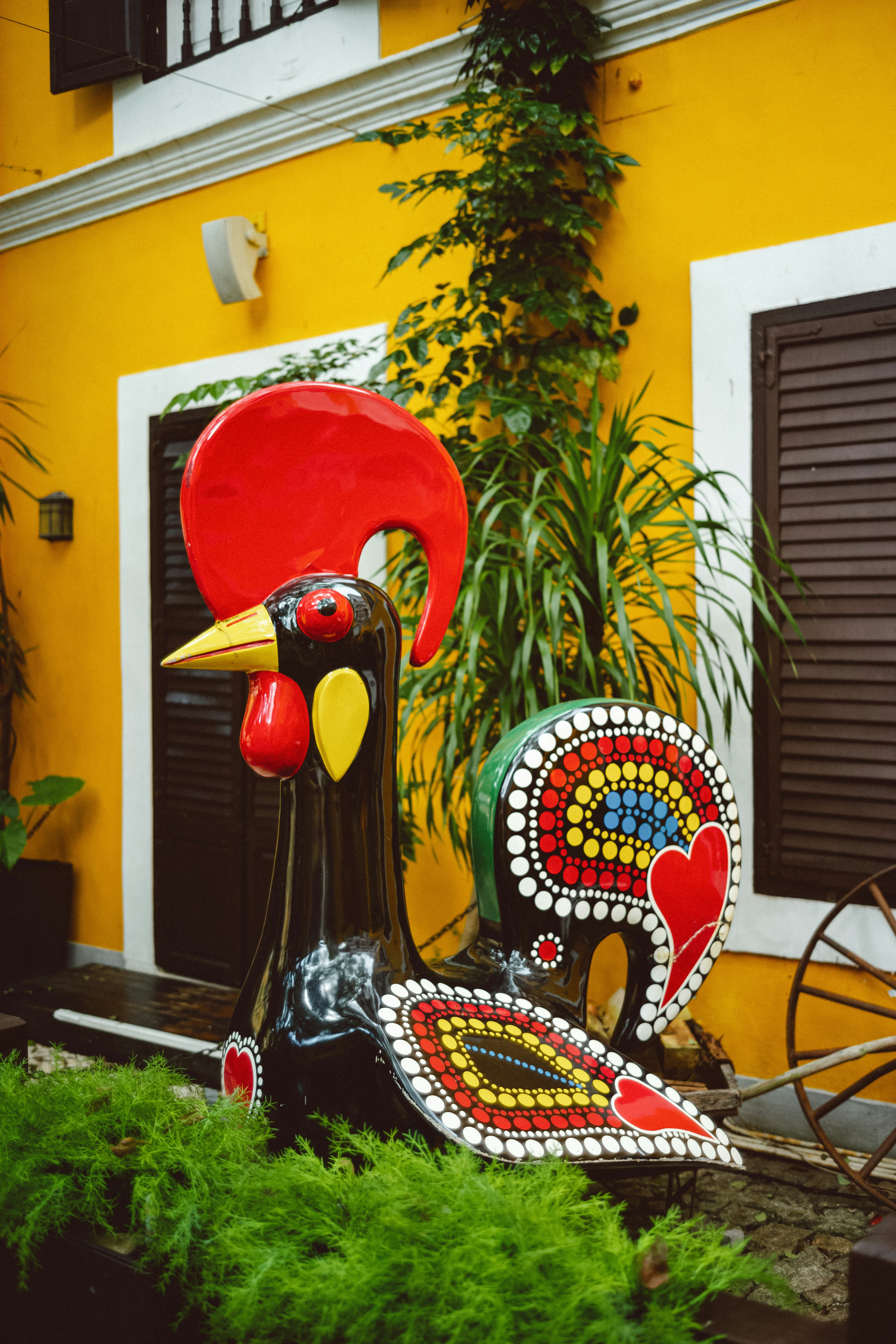 Red-Crested Rooster in a Sunlit Yellow Courtyard