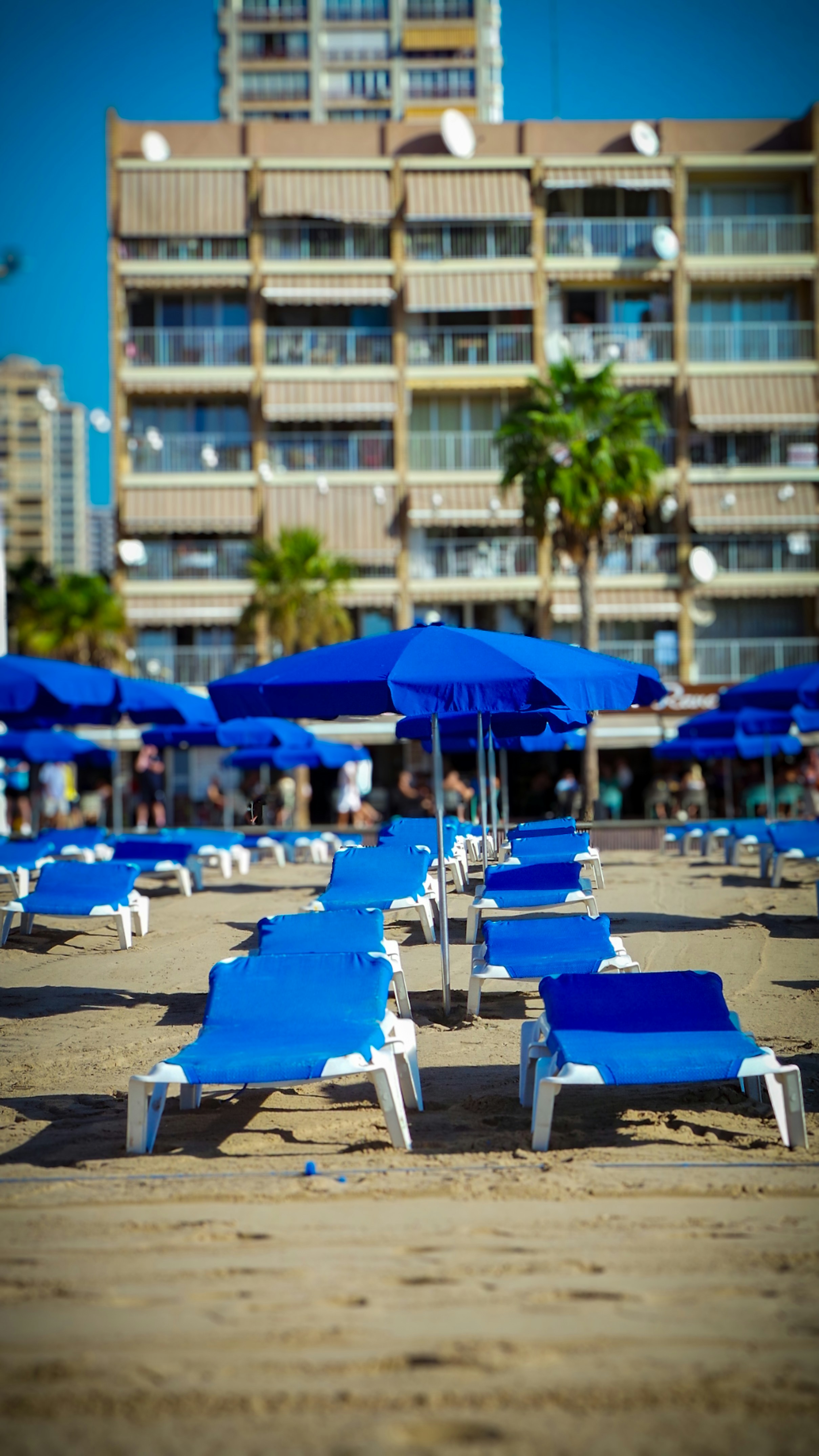 Rows of blue lounge chairs and umbrellas line a sandy beach, with a mid-rise apartment building and palm trees visible in the background.