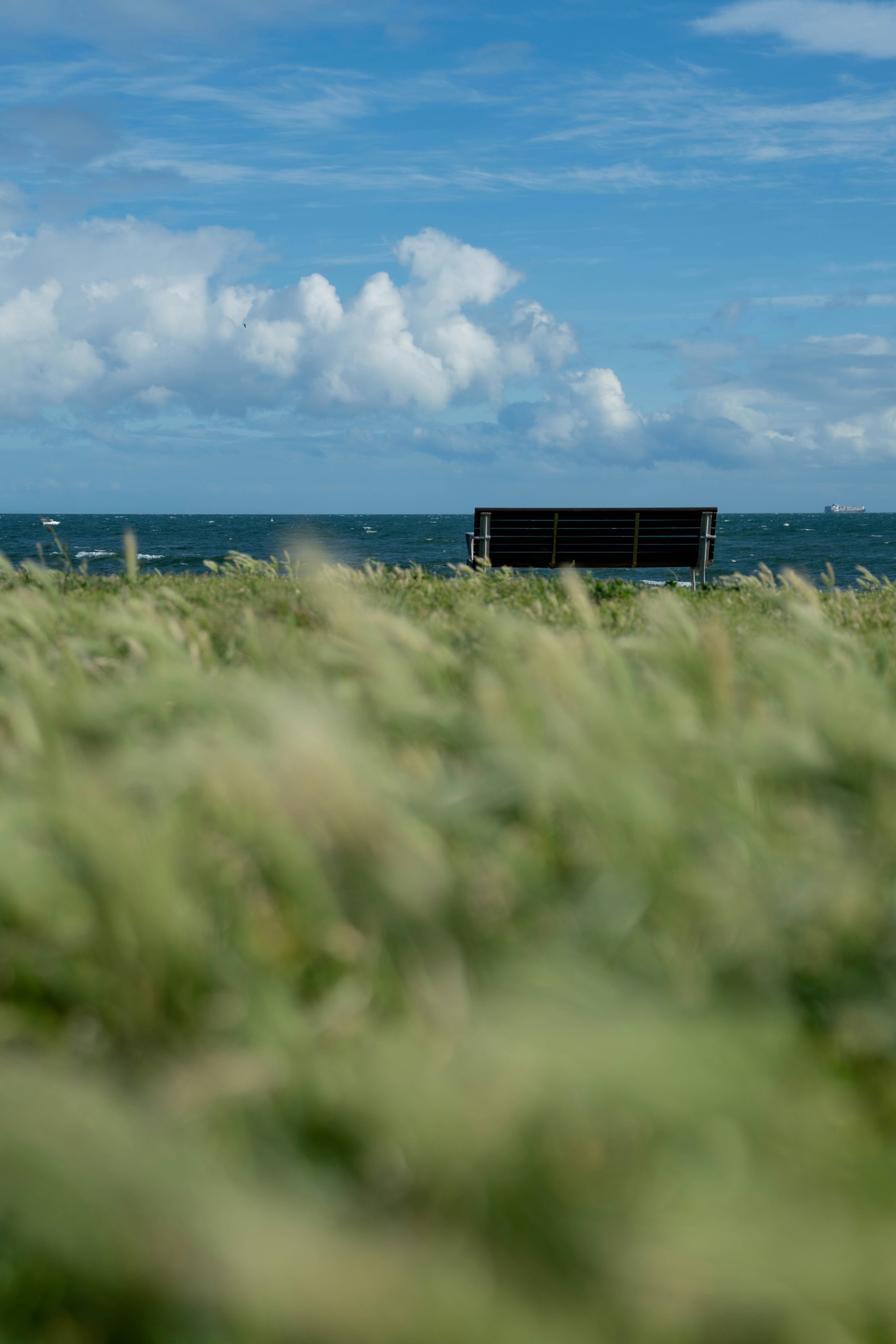 Horizon Bench: Stillness Where Grass Meets the Sea