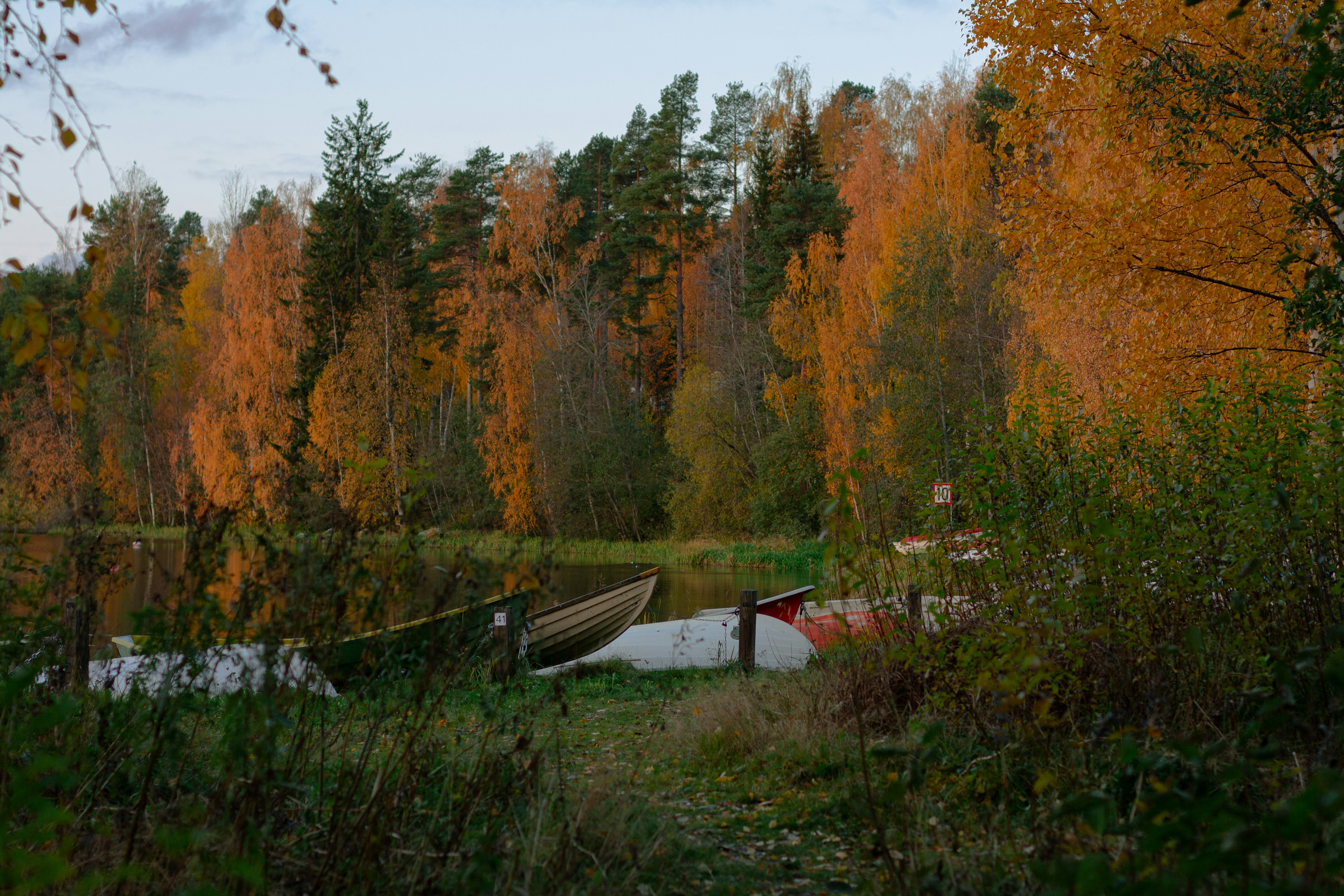 A boat sitting on top of a river next to a forest photo – Free Finland ...
