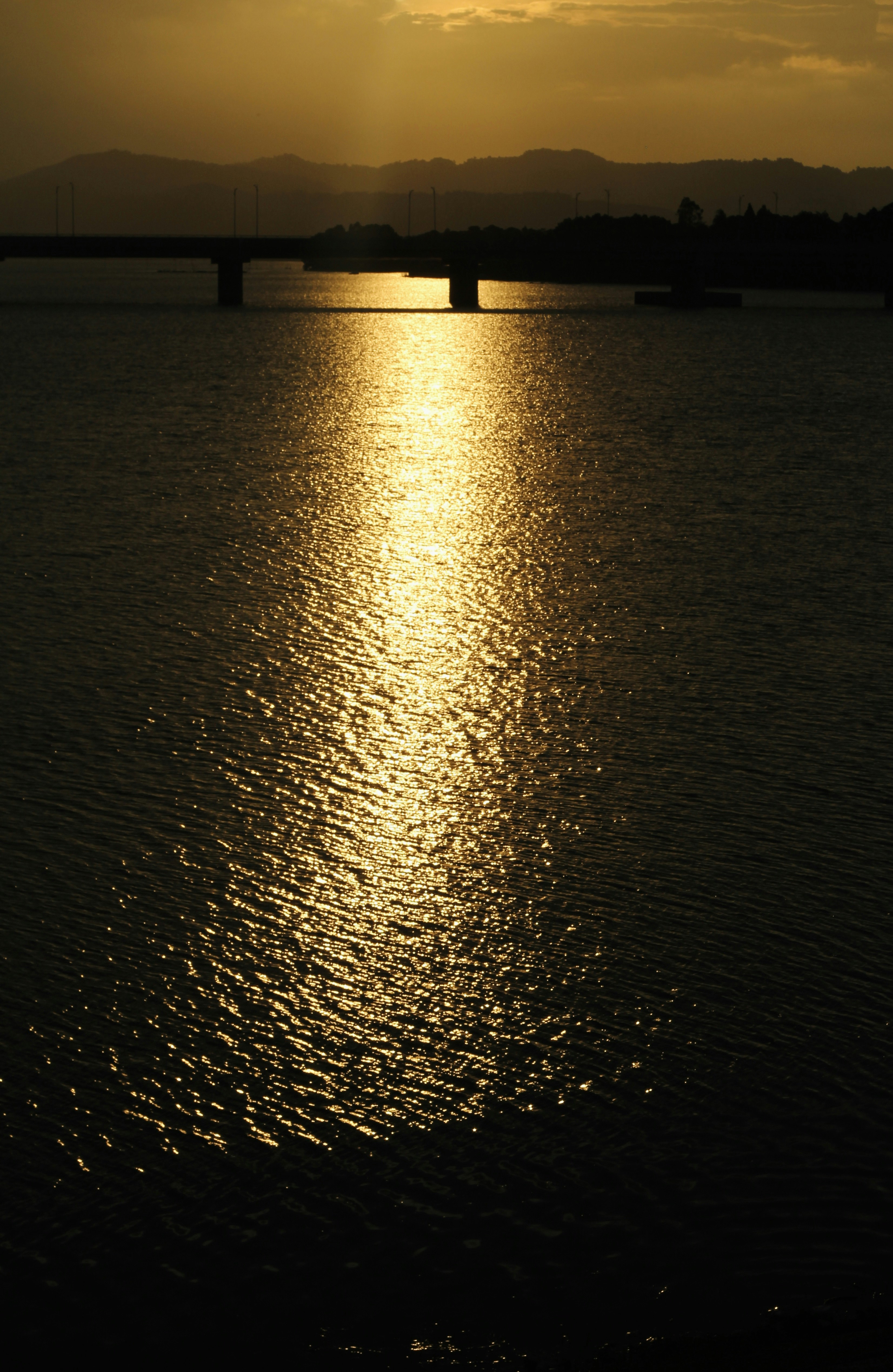 Photo by Vy Duong with Canon EOS 60D