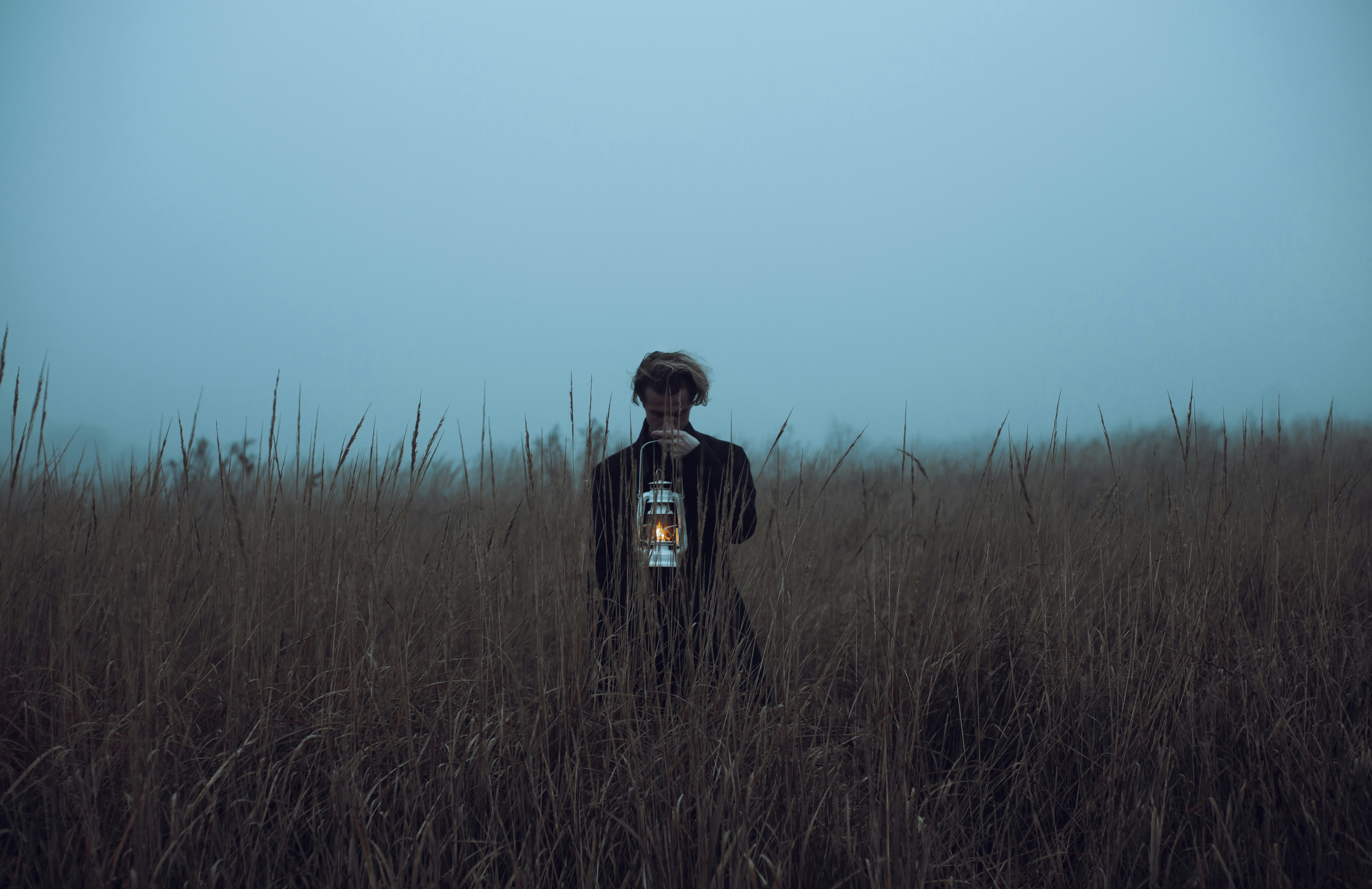 Lantern Glow Amidst the Twilight Grasslands