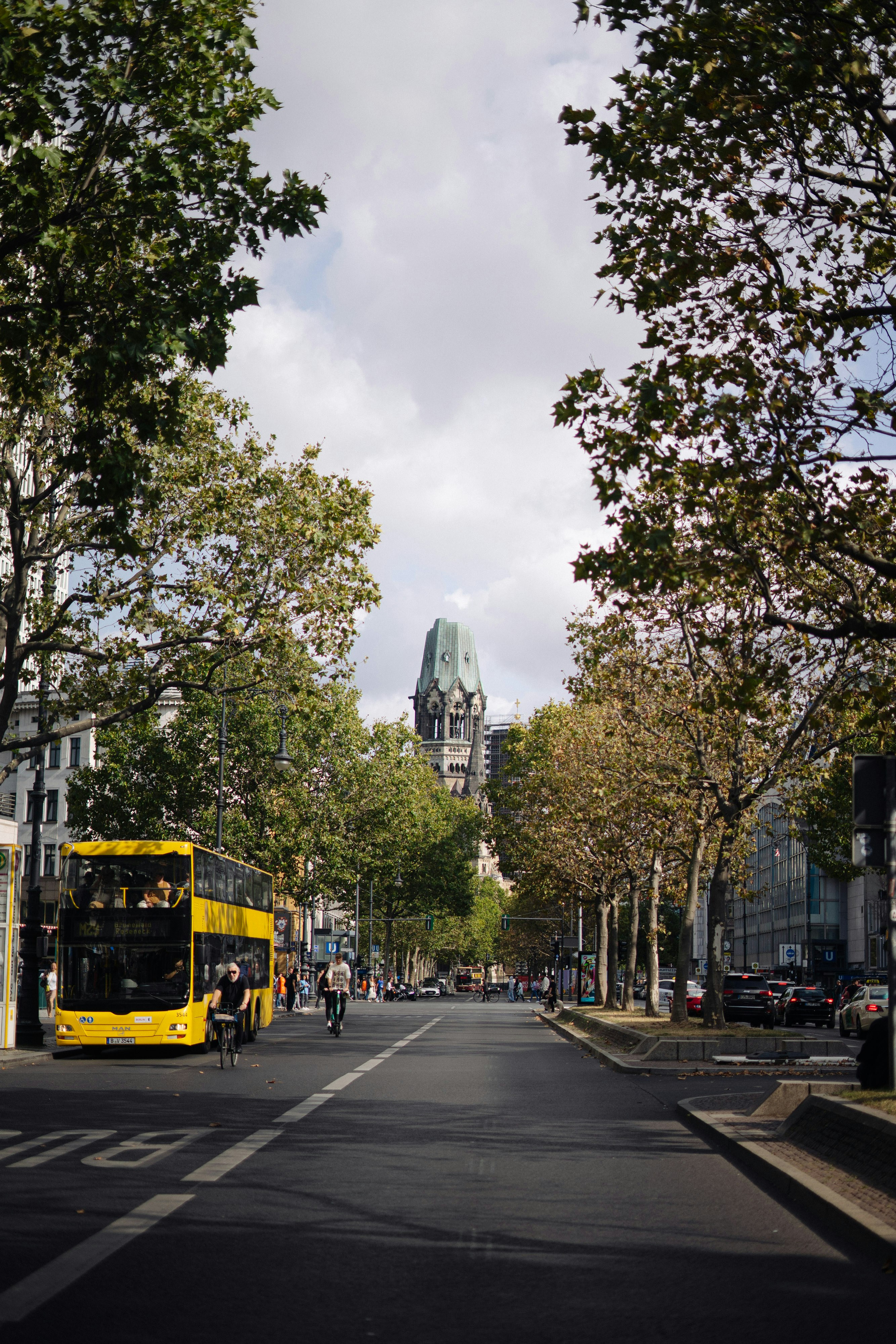 Clocktower Vista Framed by Urban Canopy and a Bright Yellow Bus