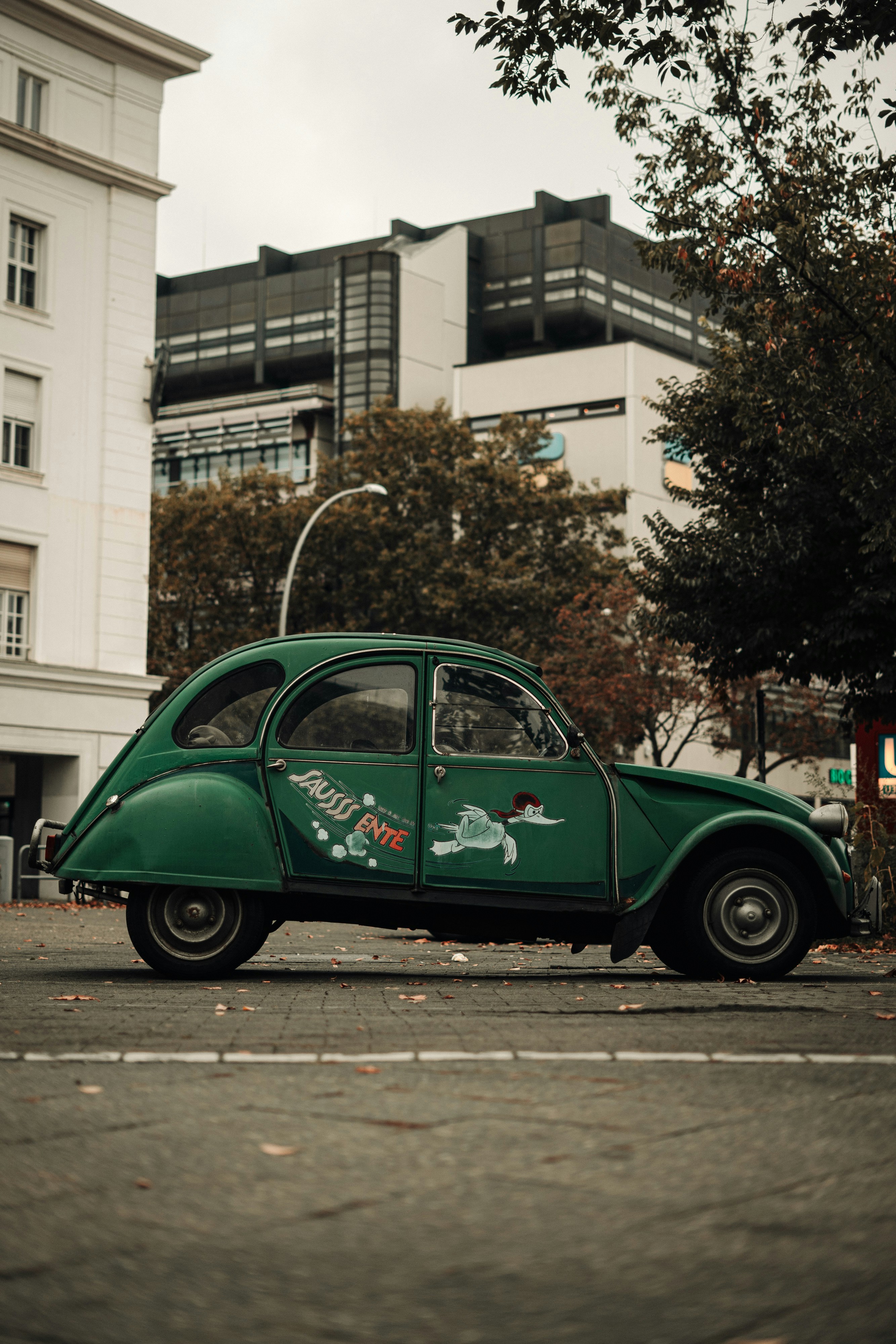 Photo by Robert | Visual Diary with Sony Alpha 7