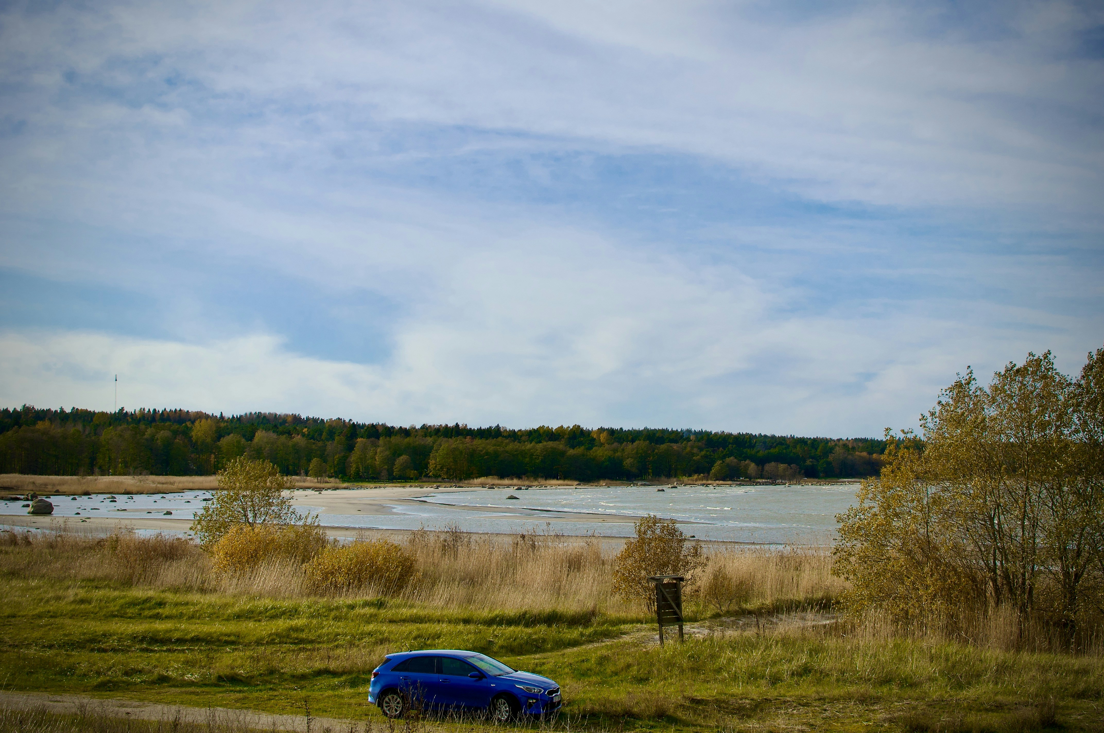 Azure Hatchback at the Meadow's Edge by a Quiet Lake