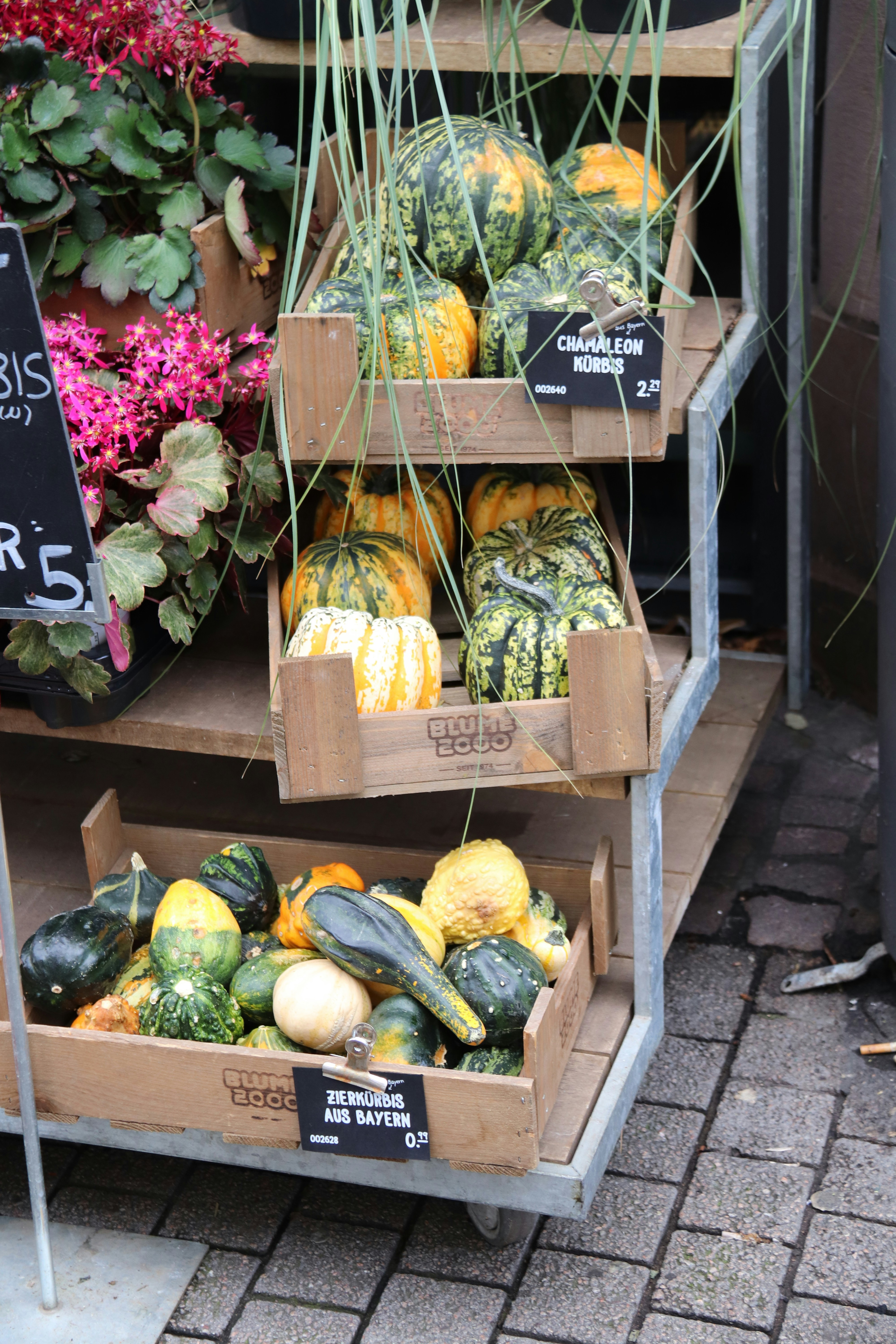 Autumn's Harvest on Display