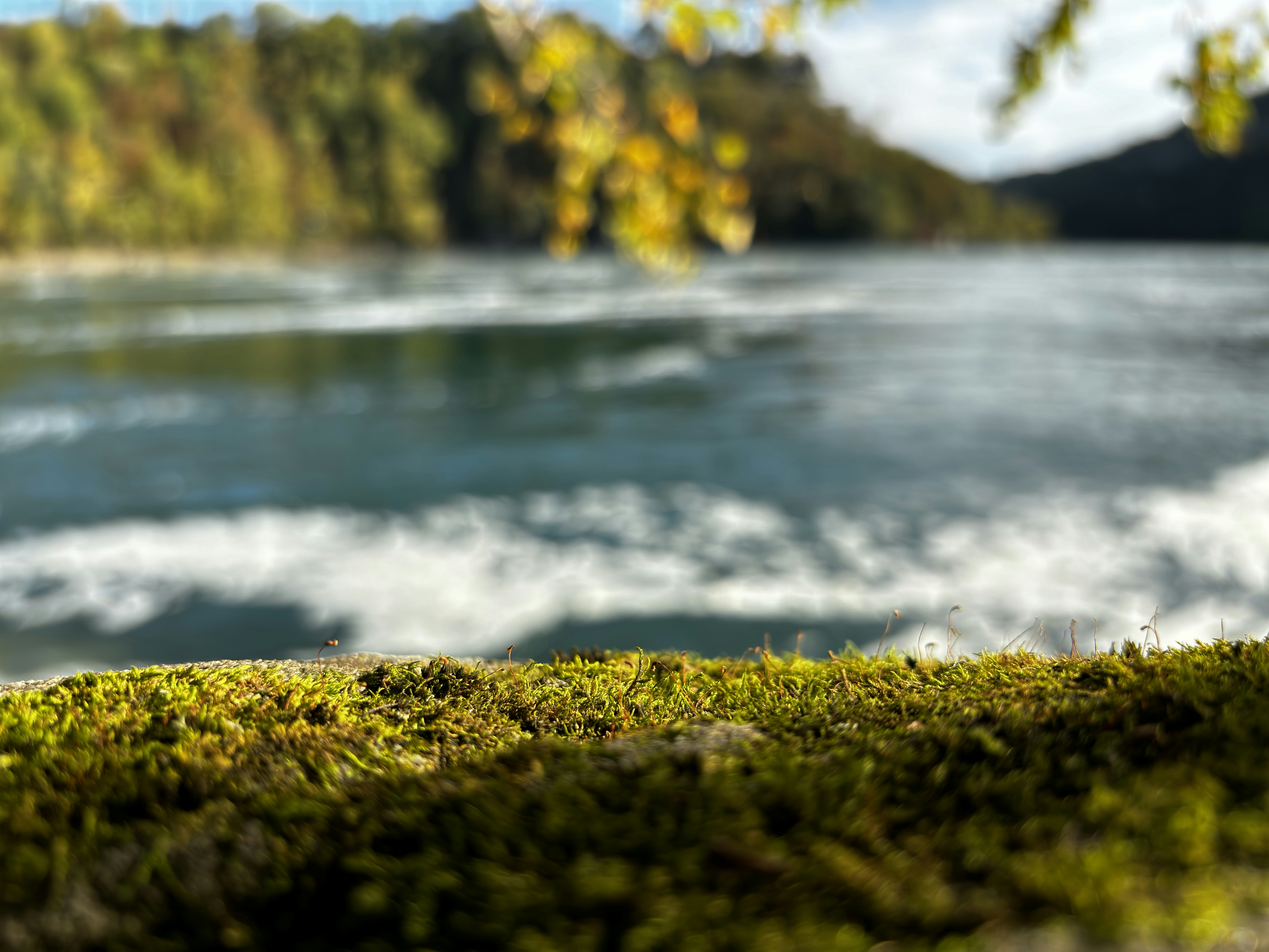Moss-covered riverbank in sharp focus with a softly blurred river and distant autumn trees.