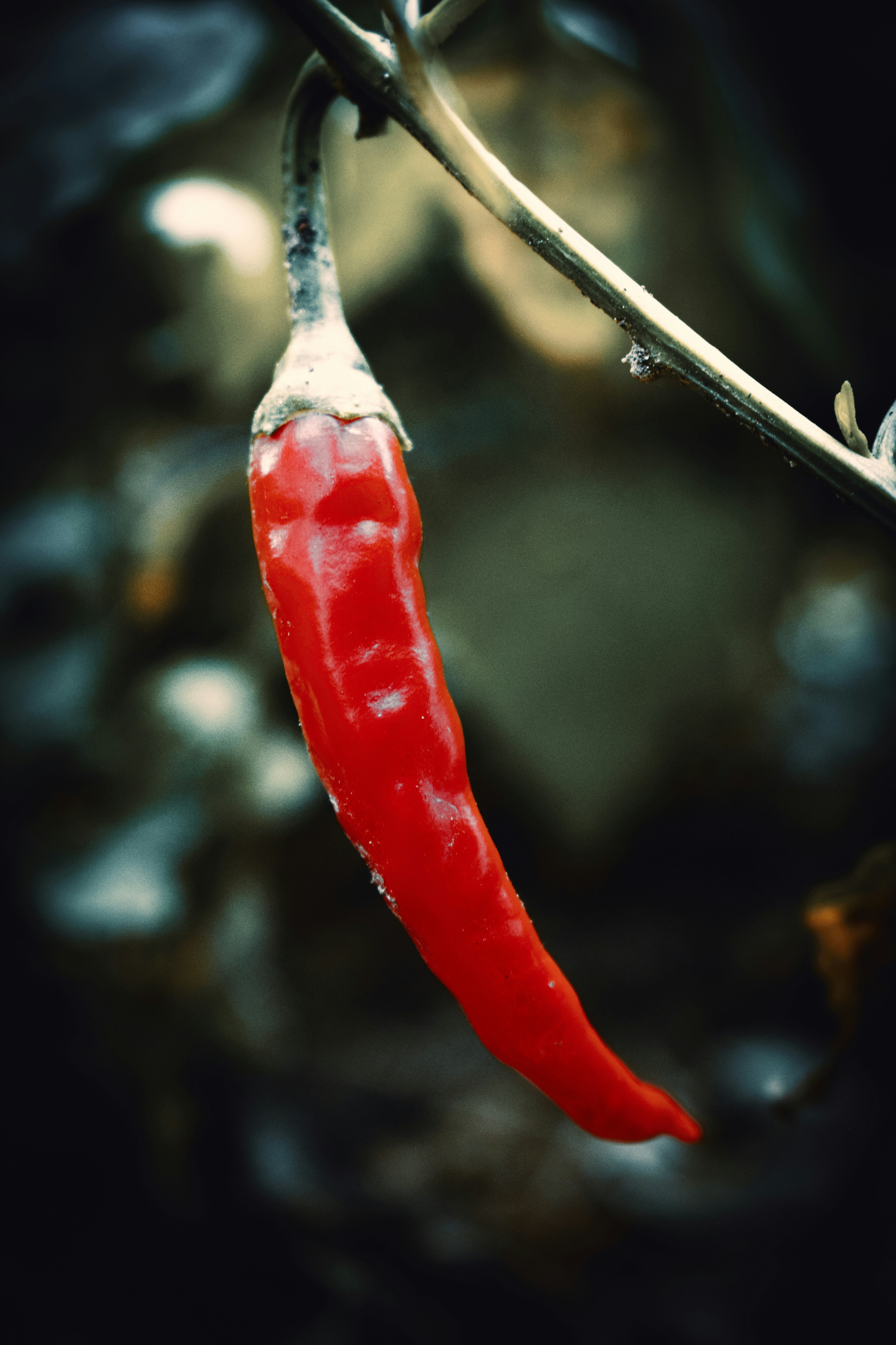 Photo by lonely blue with Nikon D5300