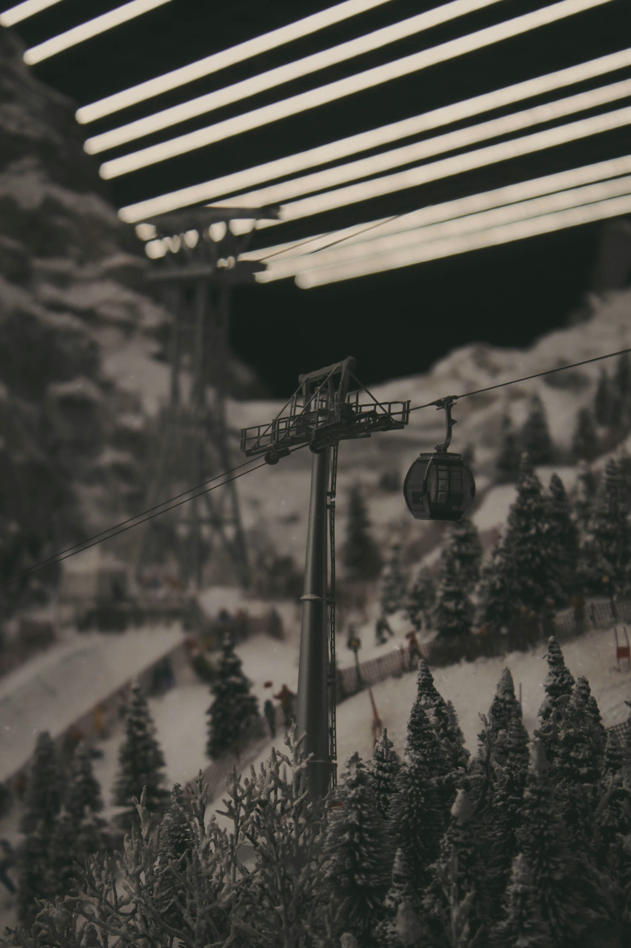 Quiet Gondola Above a Snowbound Pinescape