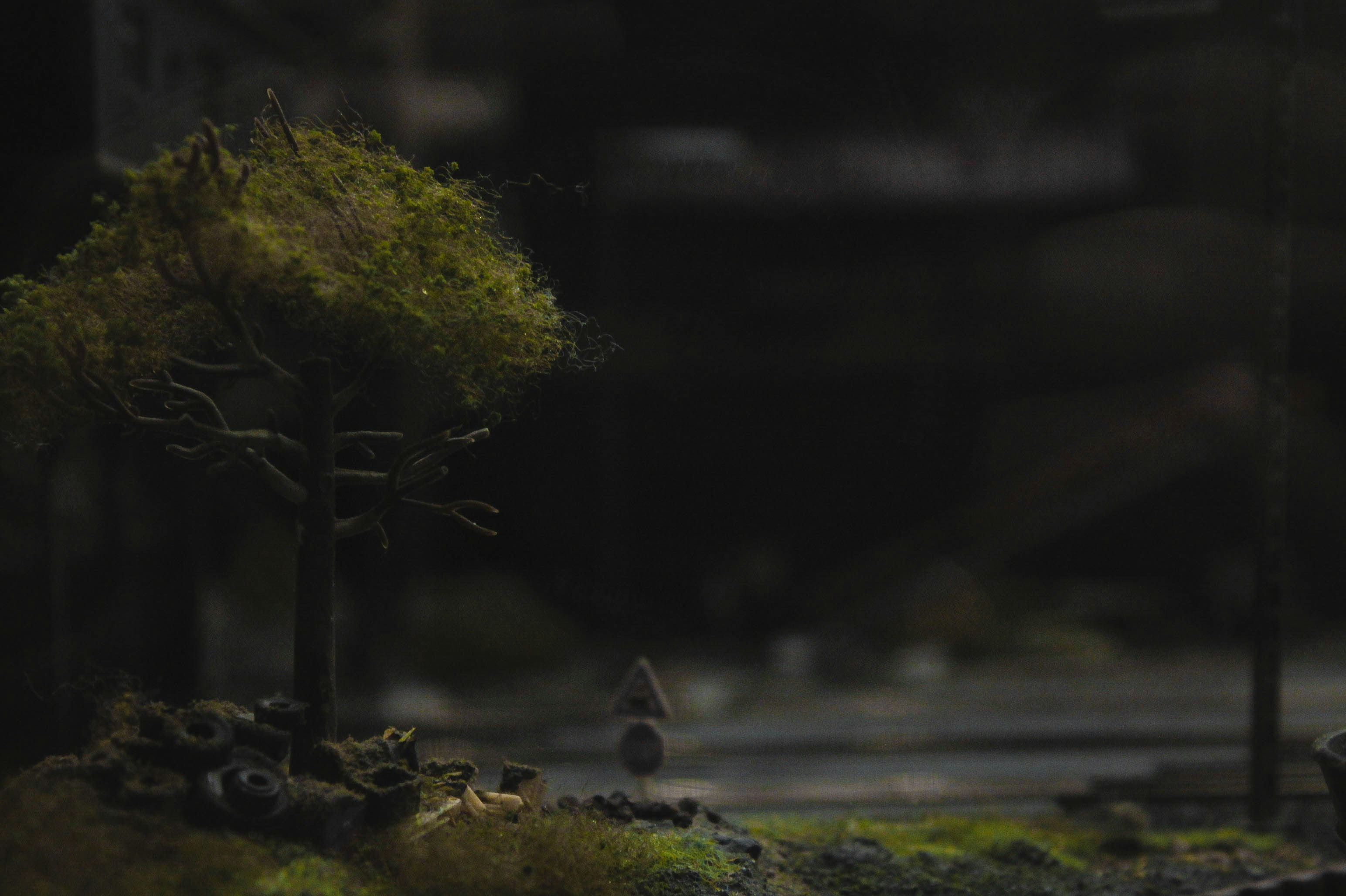 Photo by Shavr IK with Canon EOS 1100D