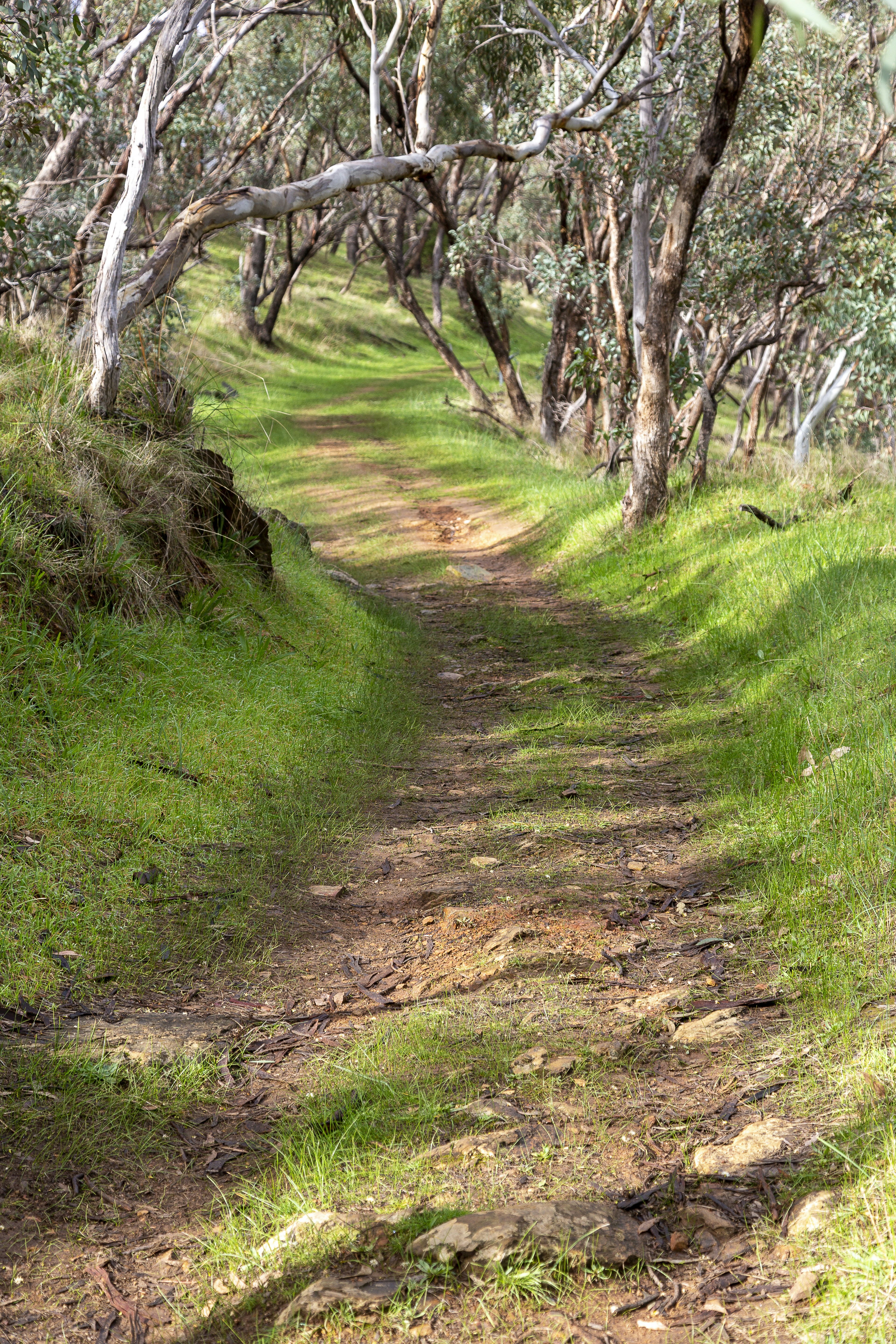 Photo by Stephen Mabbs with Canon EOS 5D Mark III