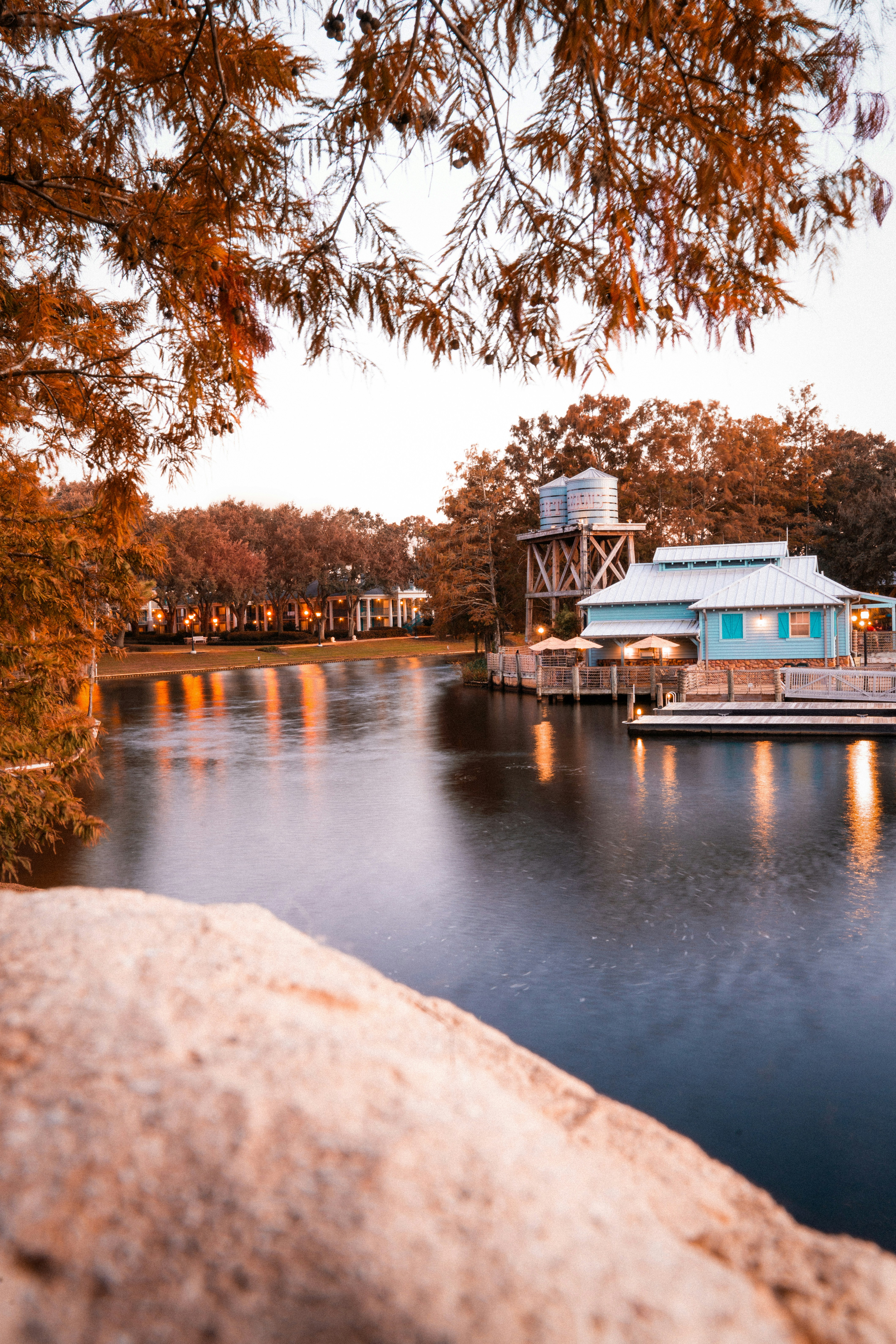 Orlando Disney Pictures | Download Free Images on Unsplash