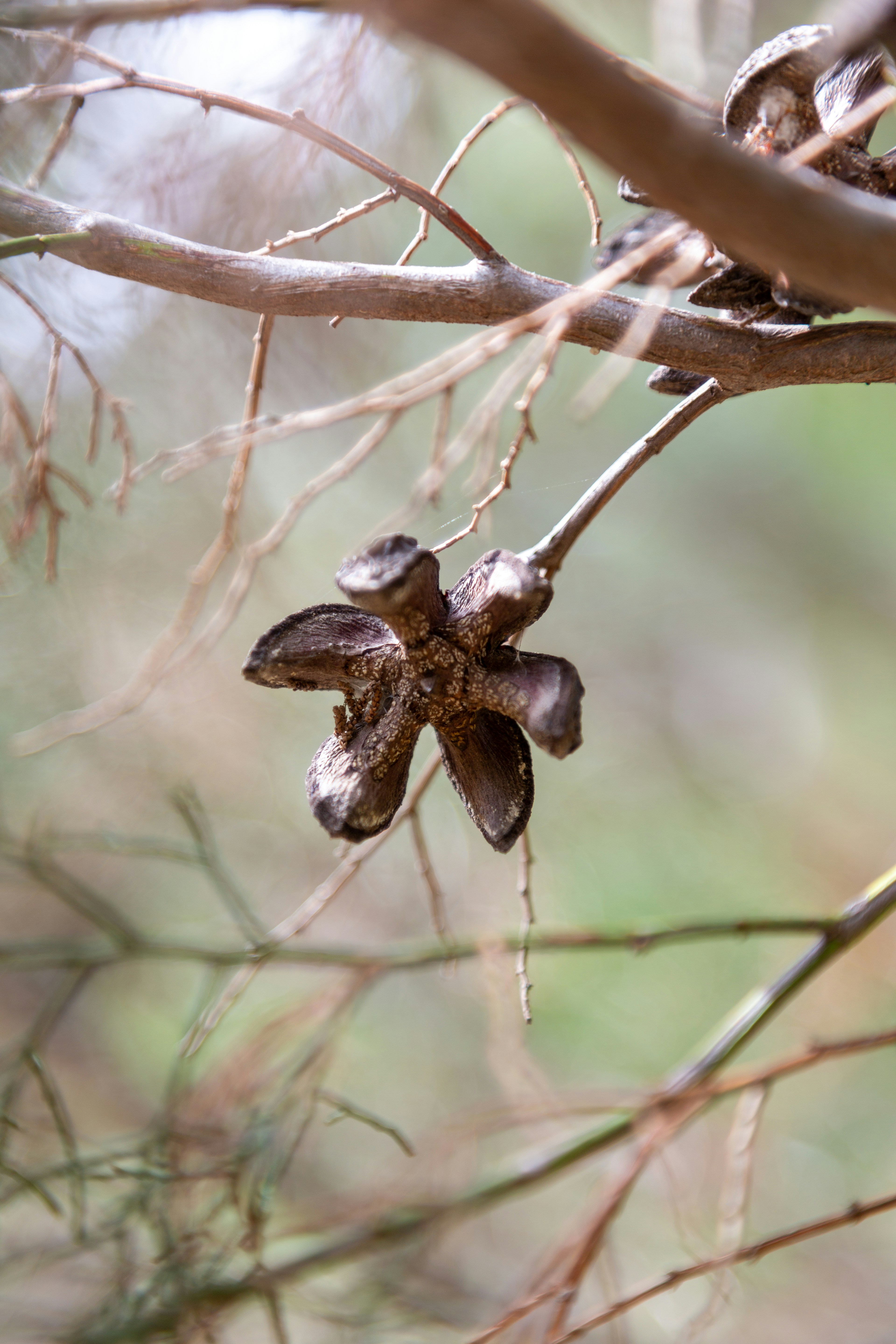 Photo by Stephen Mabbs with Canon EOS 5D Mark III