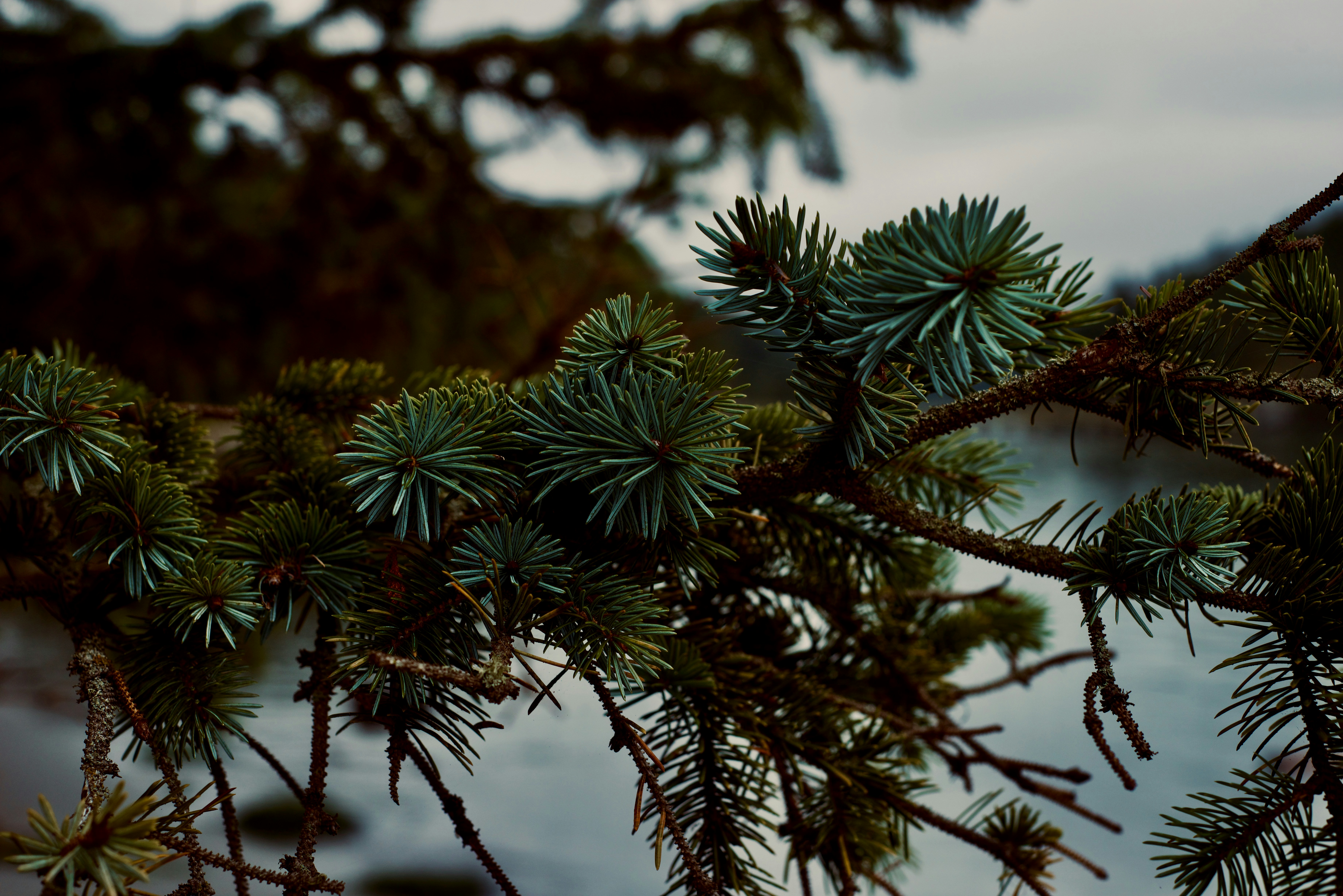 Photo by _ Smith with Nikon D800E