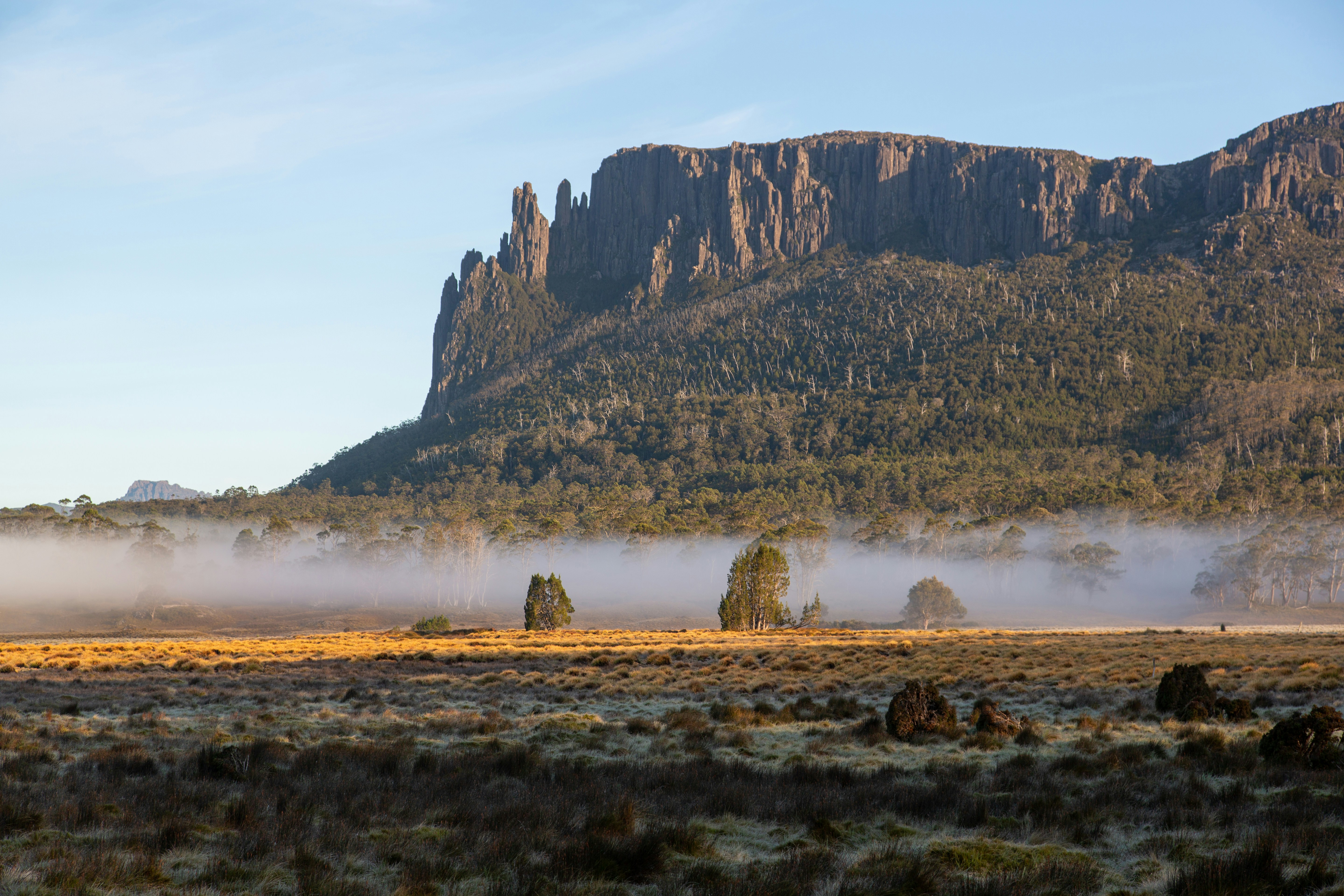 Dawn's Fog over the Serrated Ridge