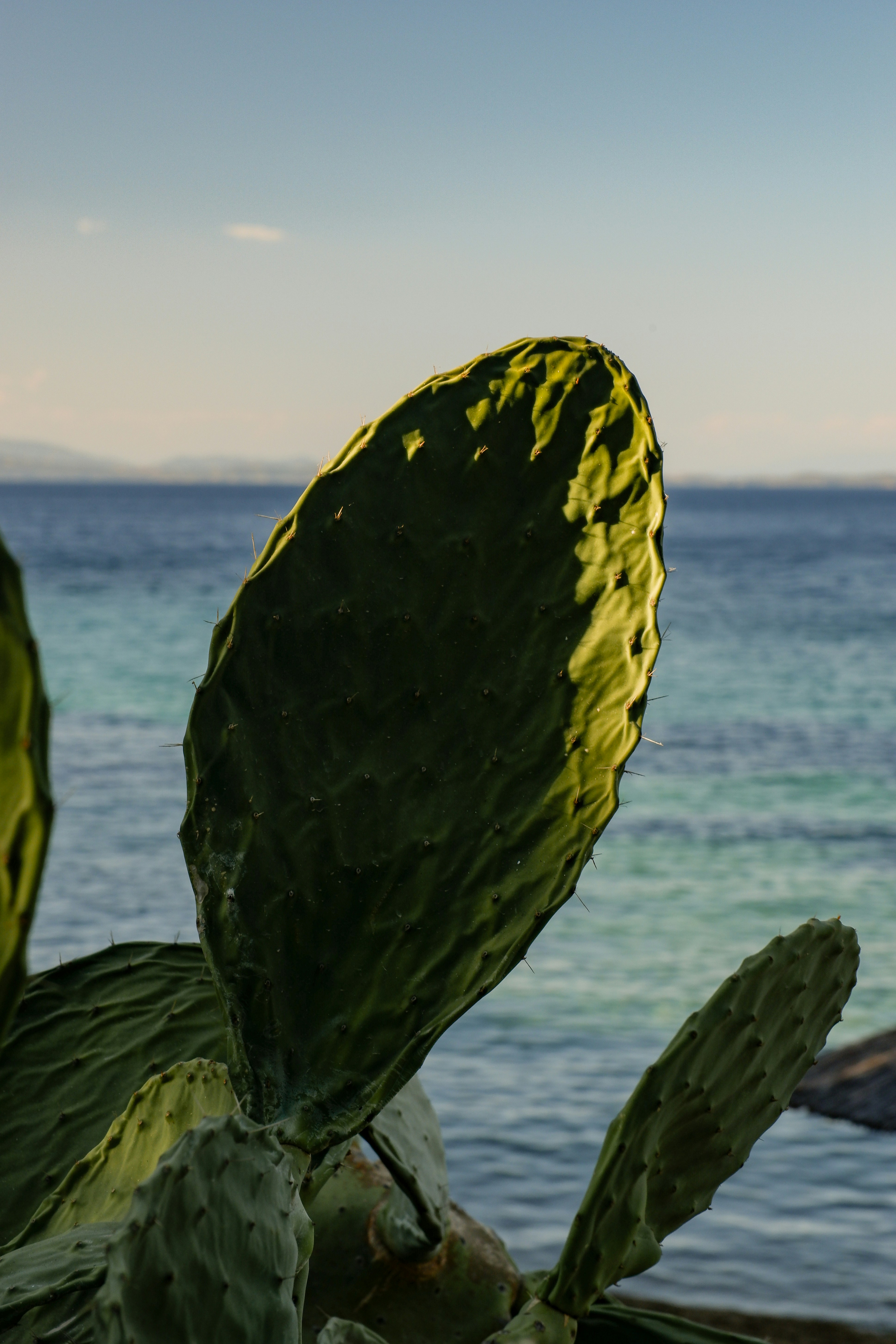 Photo by dariana with Fujifilm X-T100