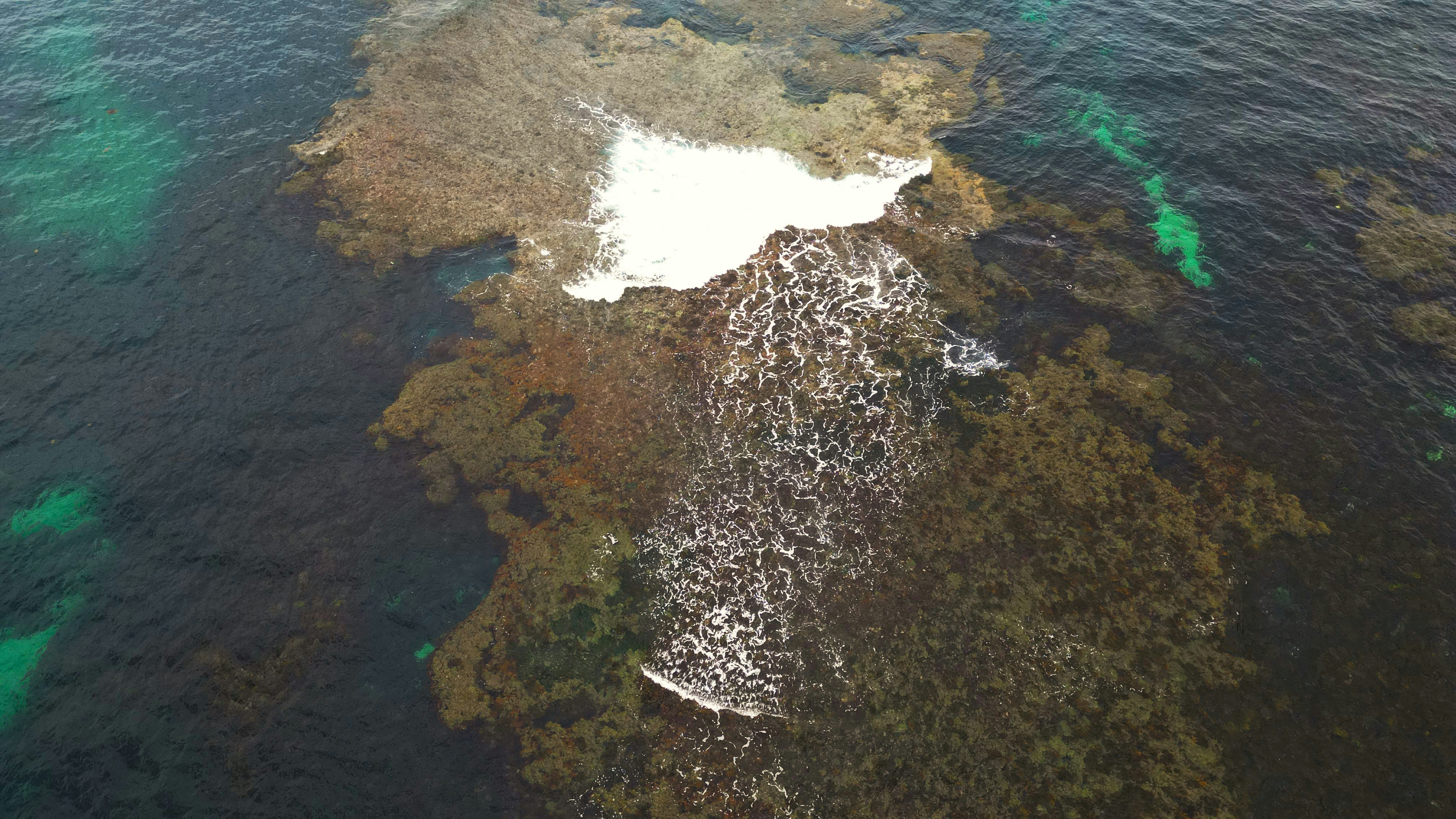 White Crest Tracing a Submerged Reef Through Turquoise Waters