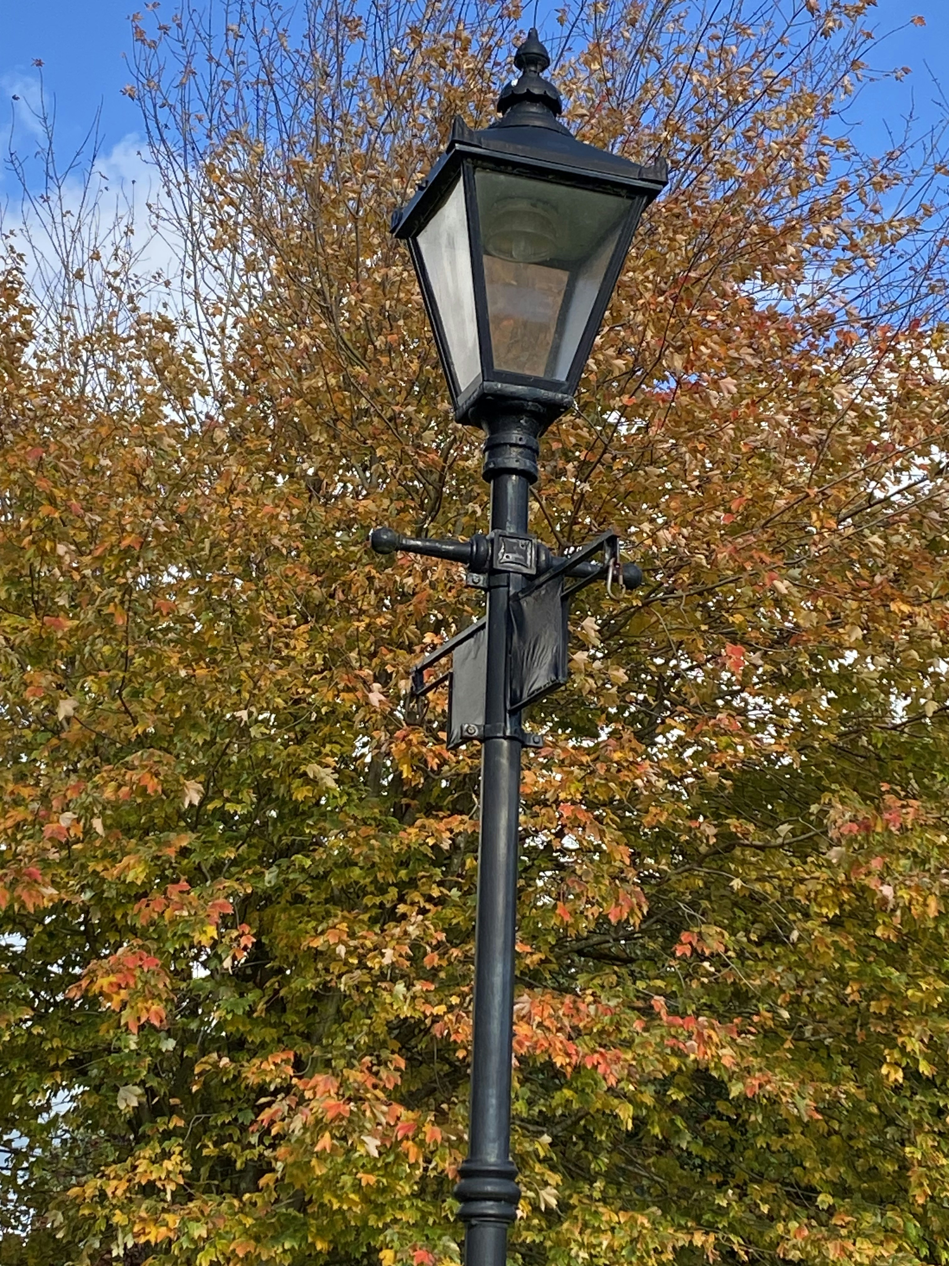 A lamp post with a tree in the background photo – Free Calverley Image ...
