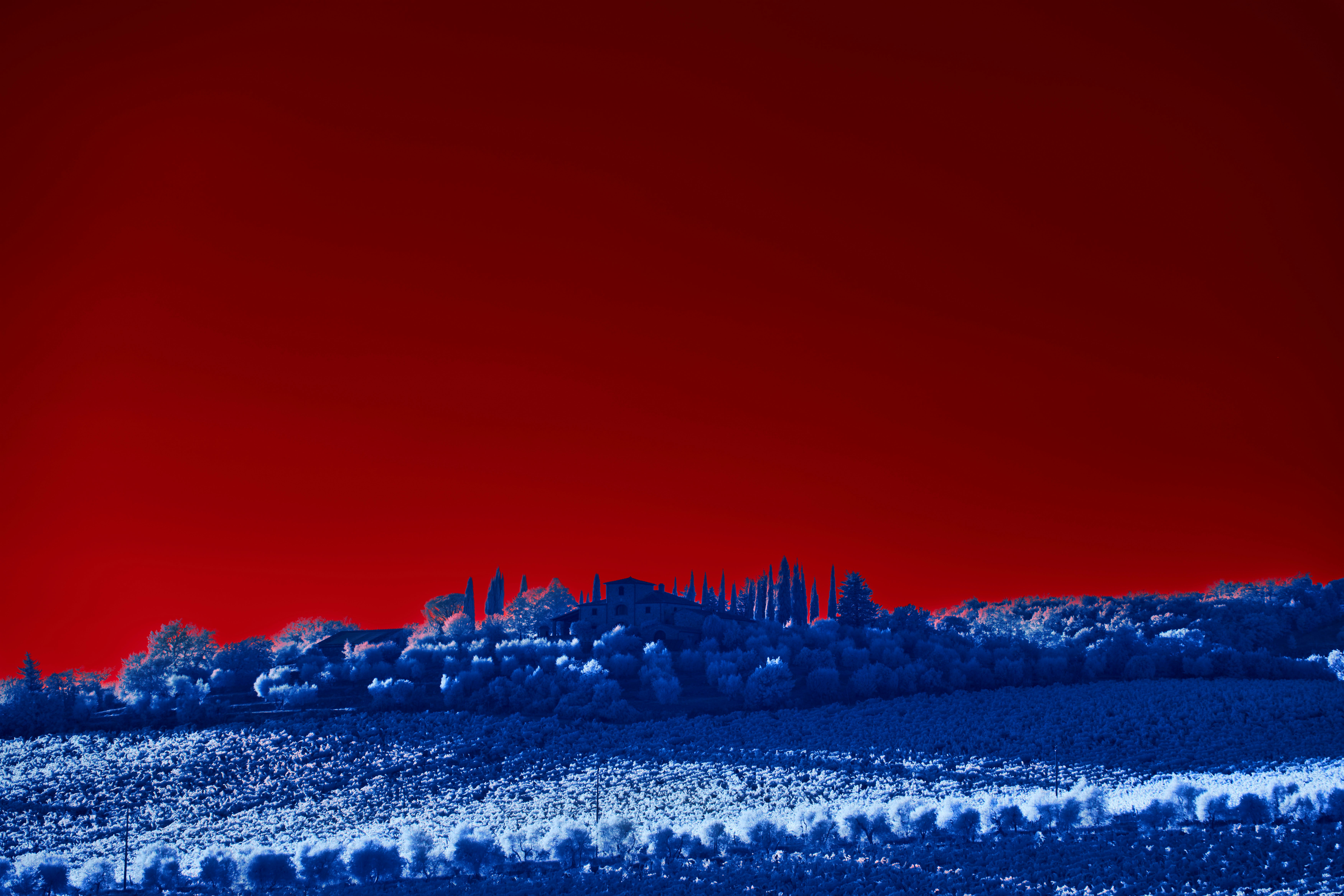 A red sky over a snowy landscape with trees photo – Free Nature Image ...