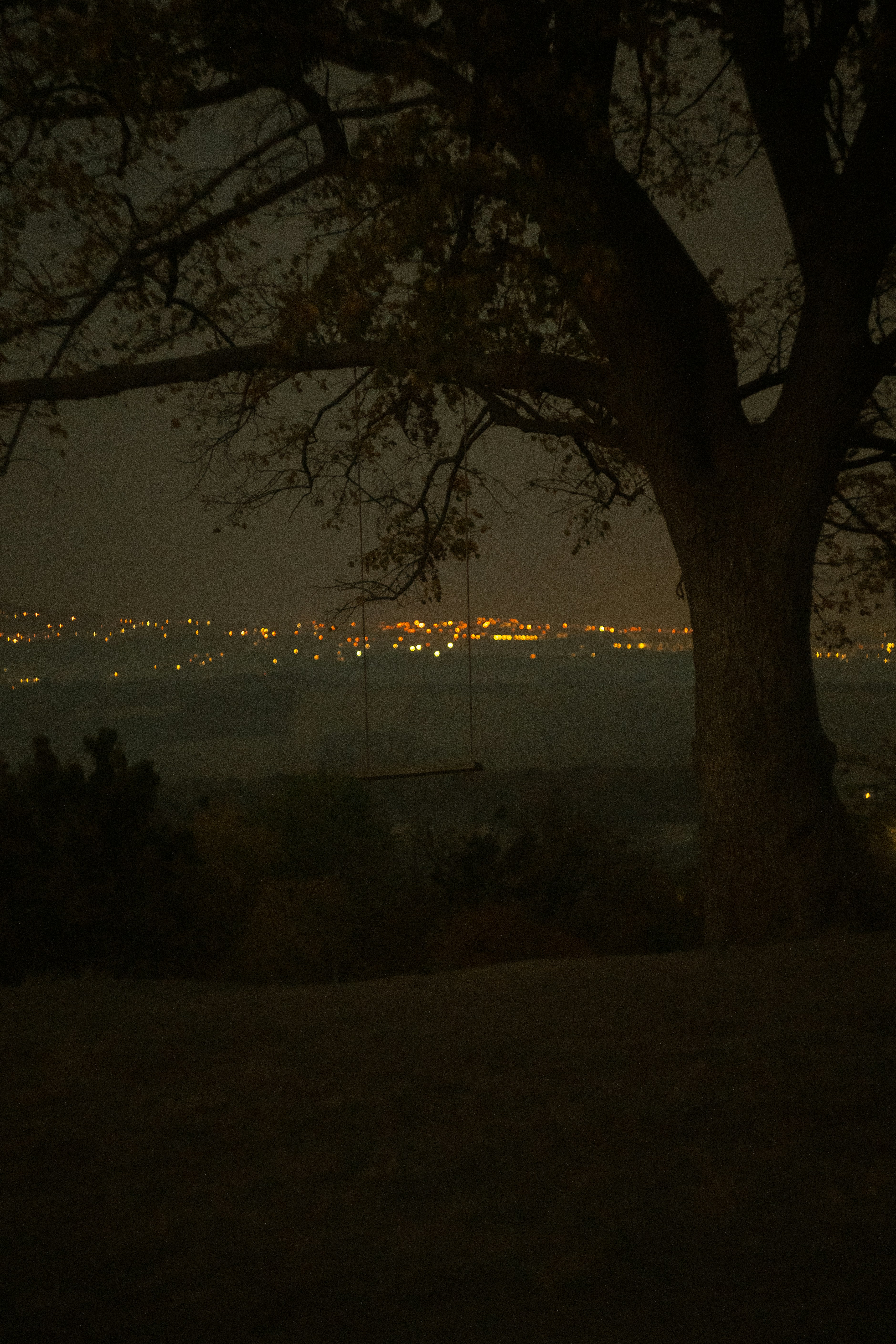 Night Swing Beneath the Silent Oak with City Lights on the Horizon