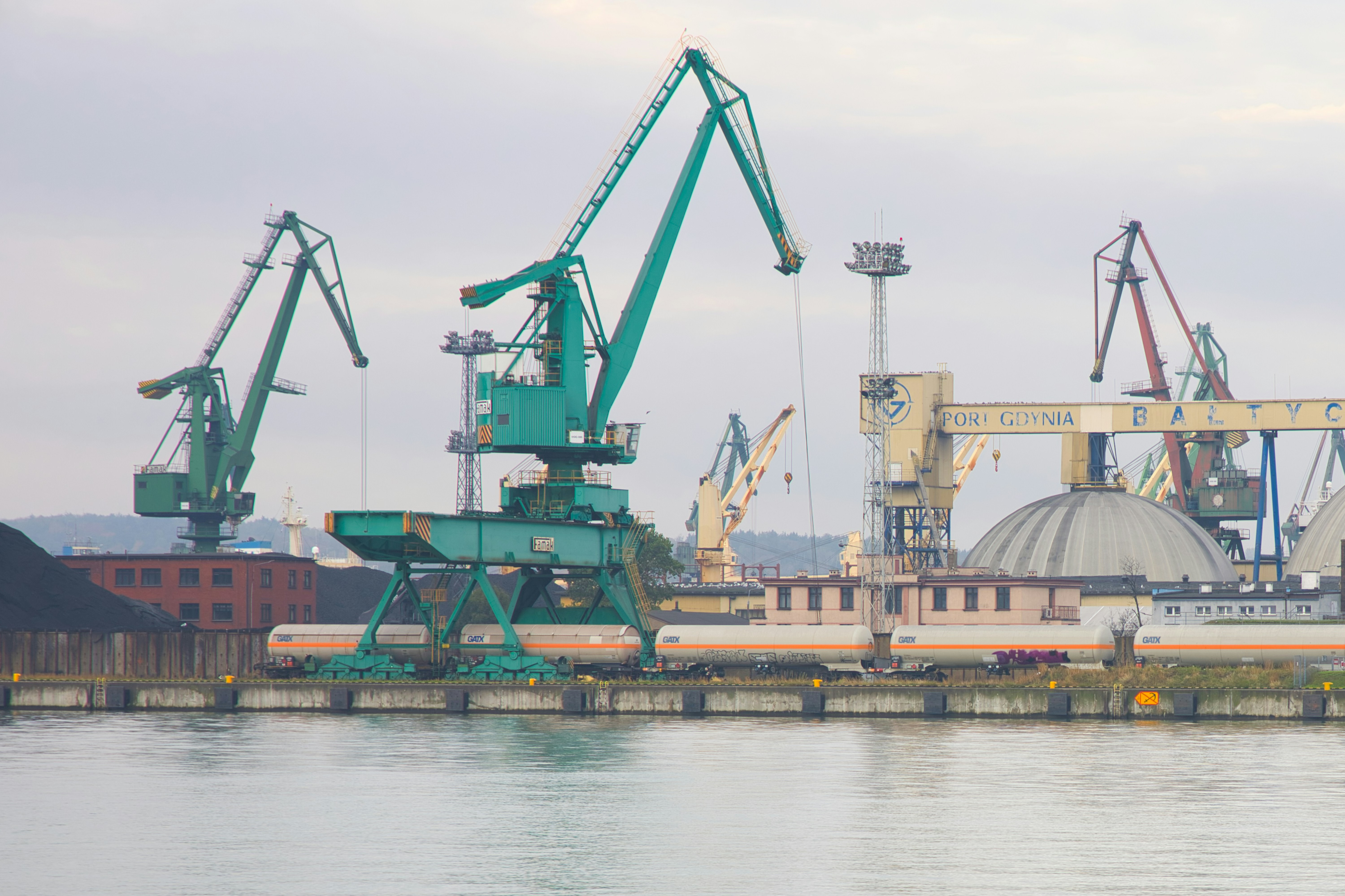 A large body of water filled with lots of cranes photo – Free Port ...