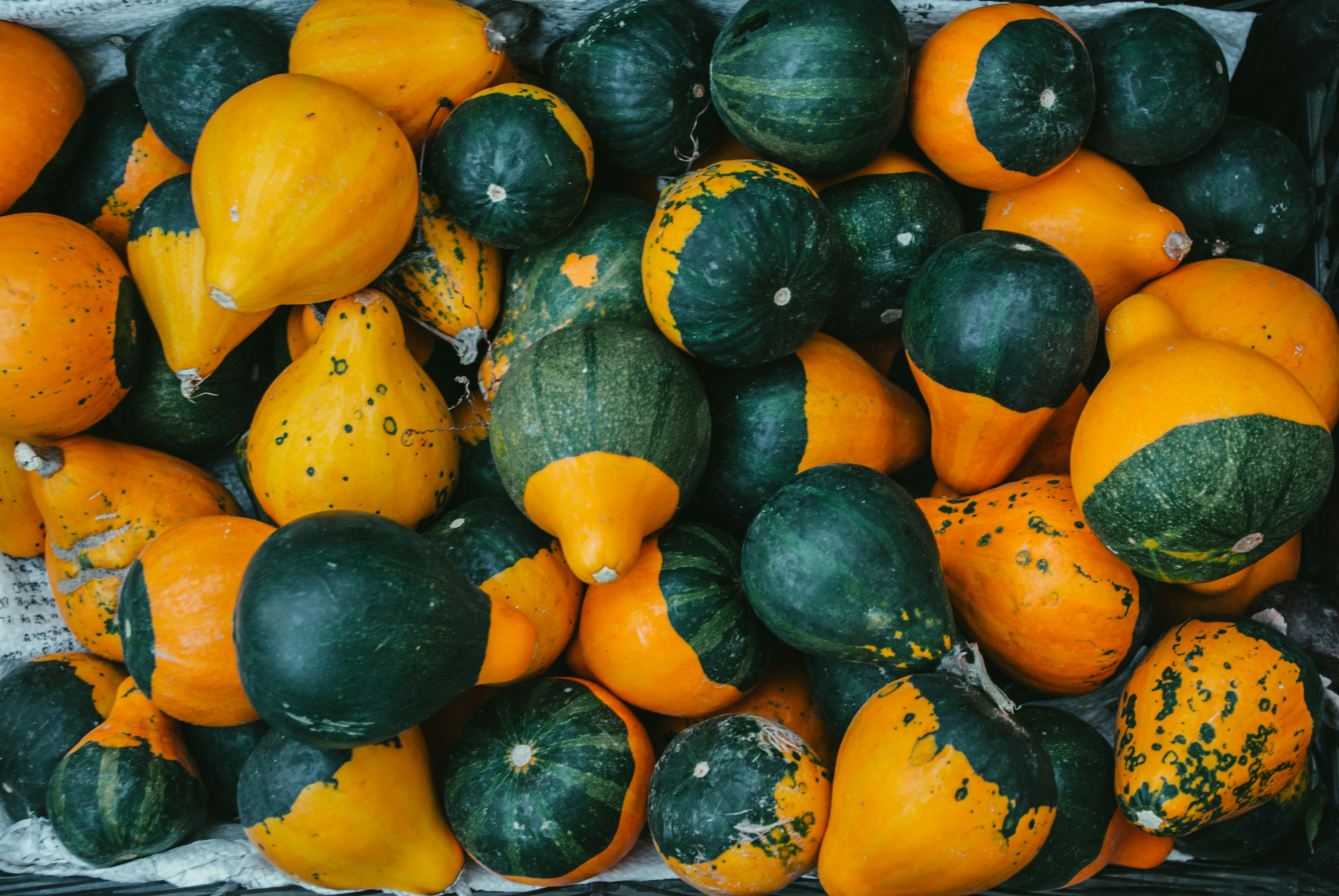 A box filled with lots of different types of squash photo – Free Food ...