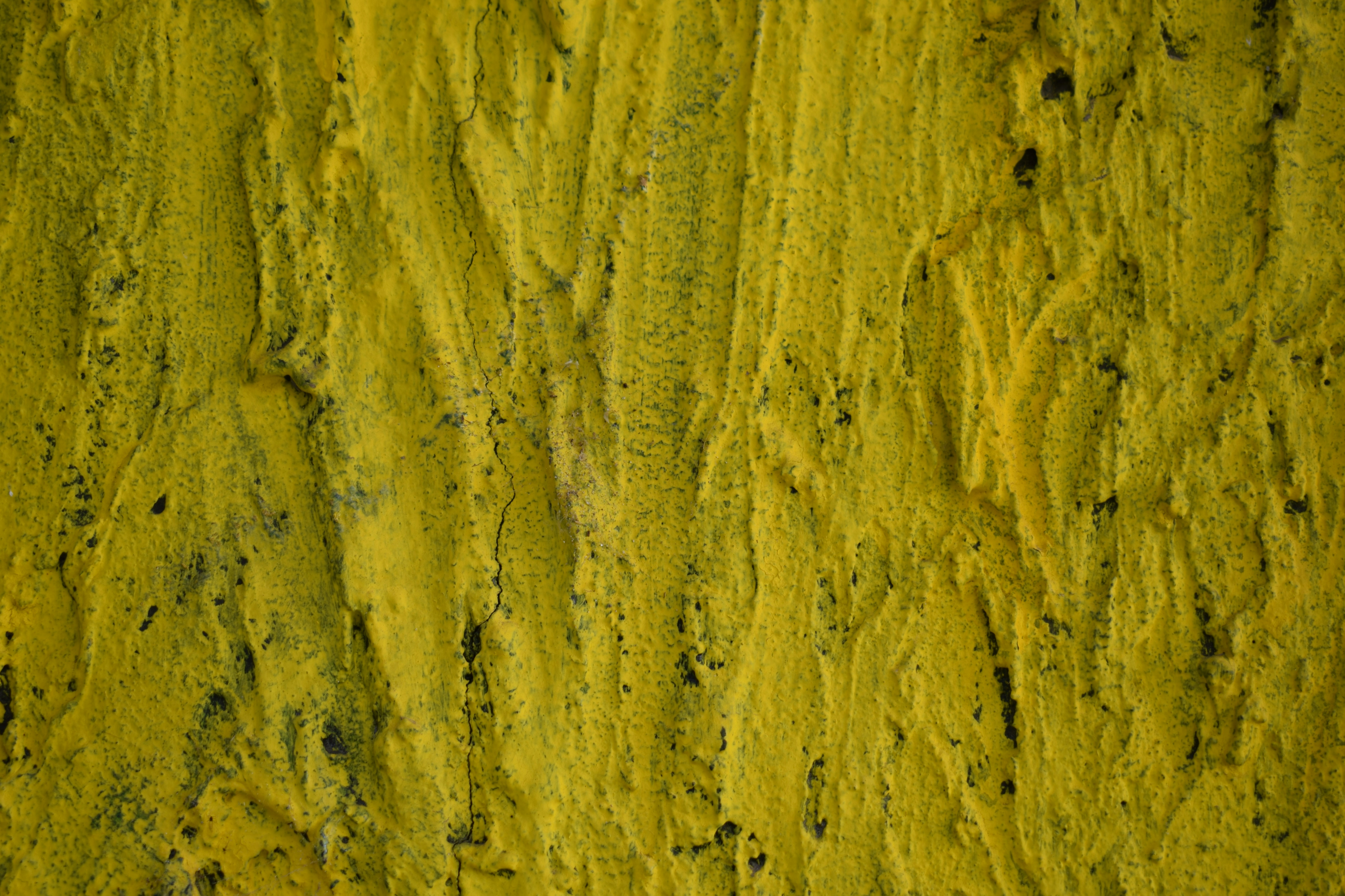 Photo by Marija Zaric with Nikon D5300