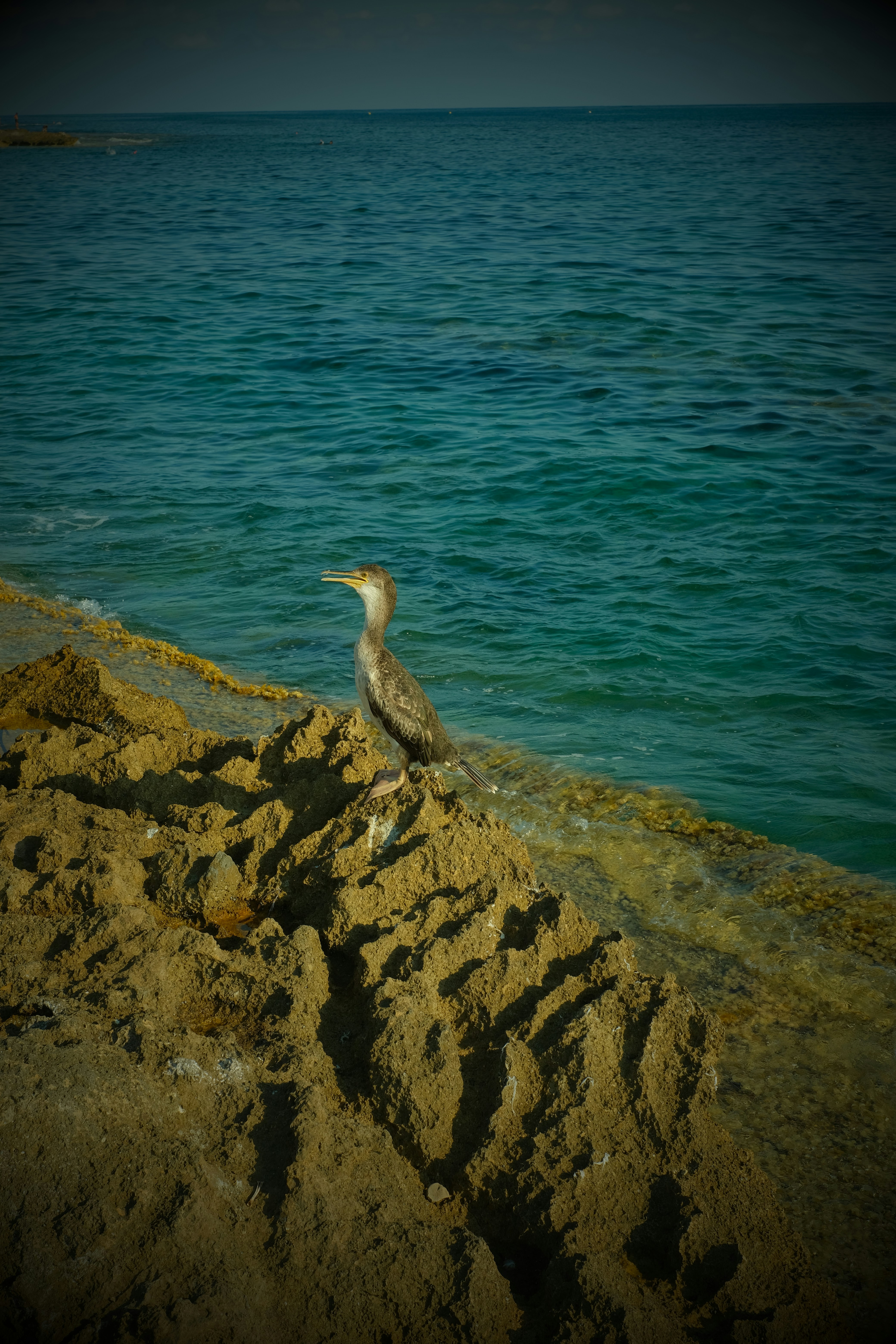 Photo by Yuliia Dementsova with Fujifilm X-T30 II