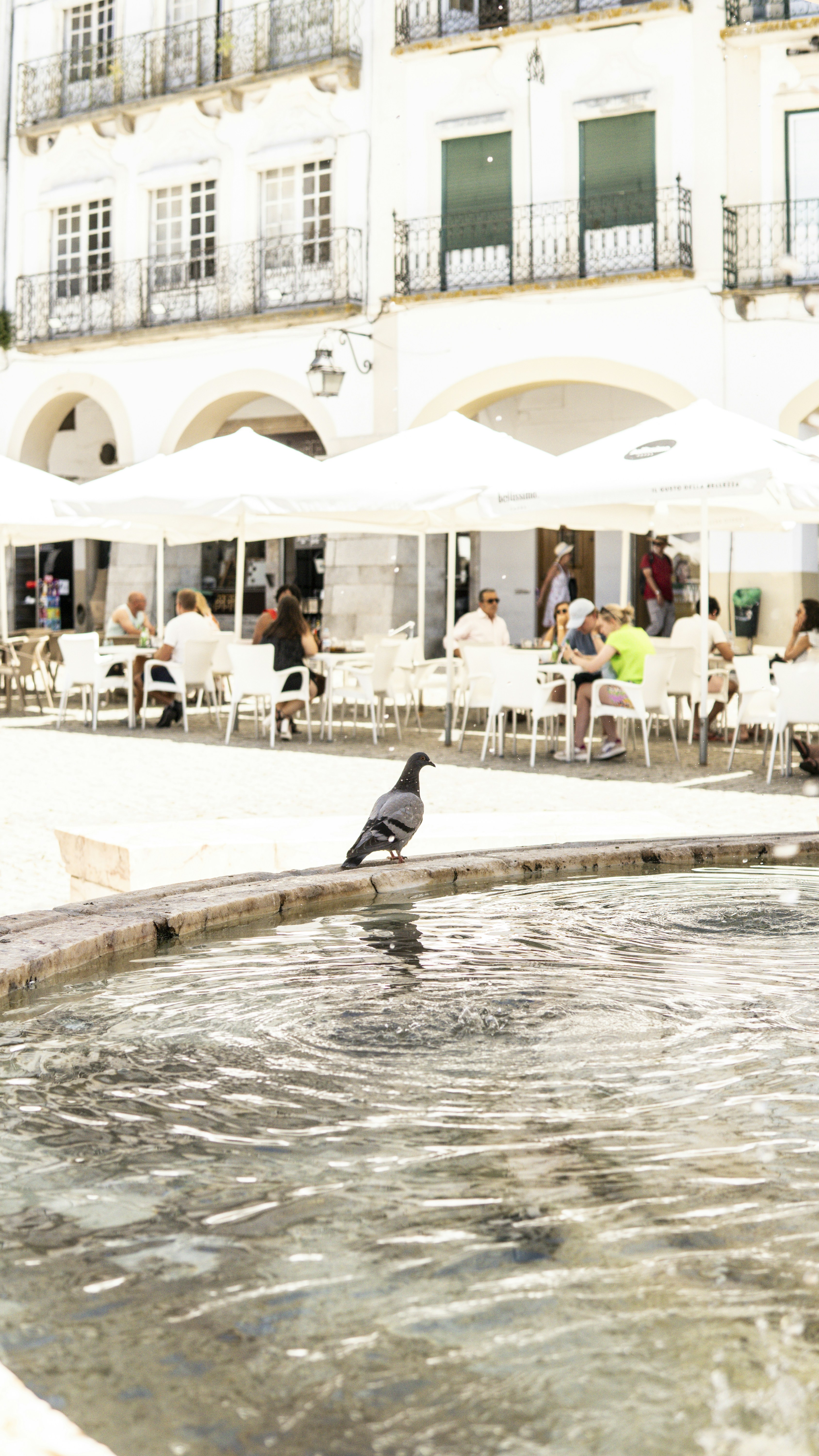 Photo by Miriam Pereira with Sony Alpha 6400