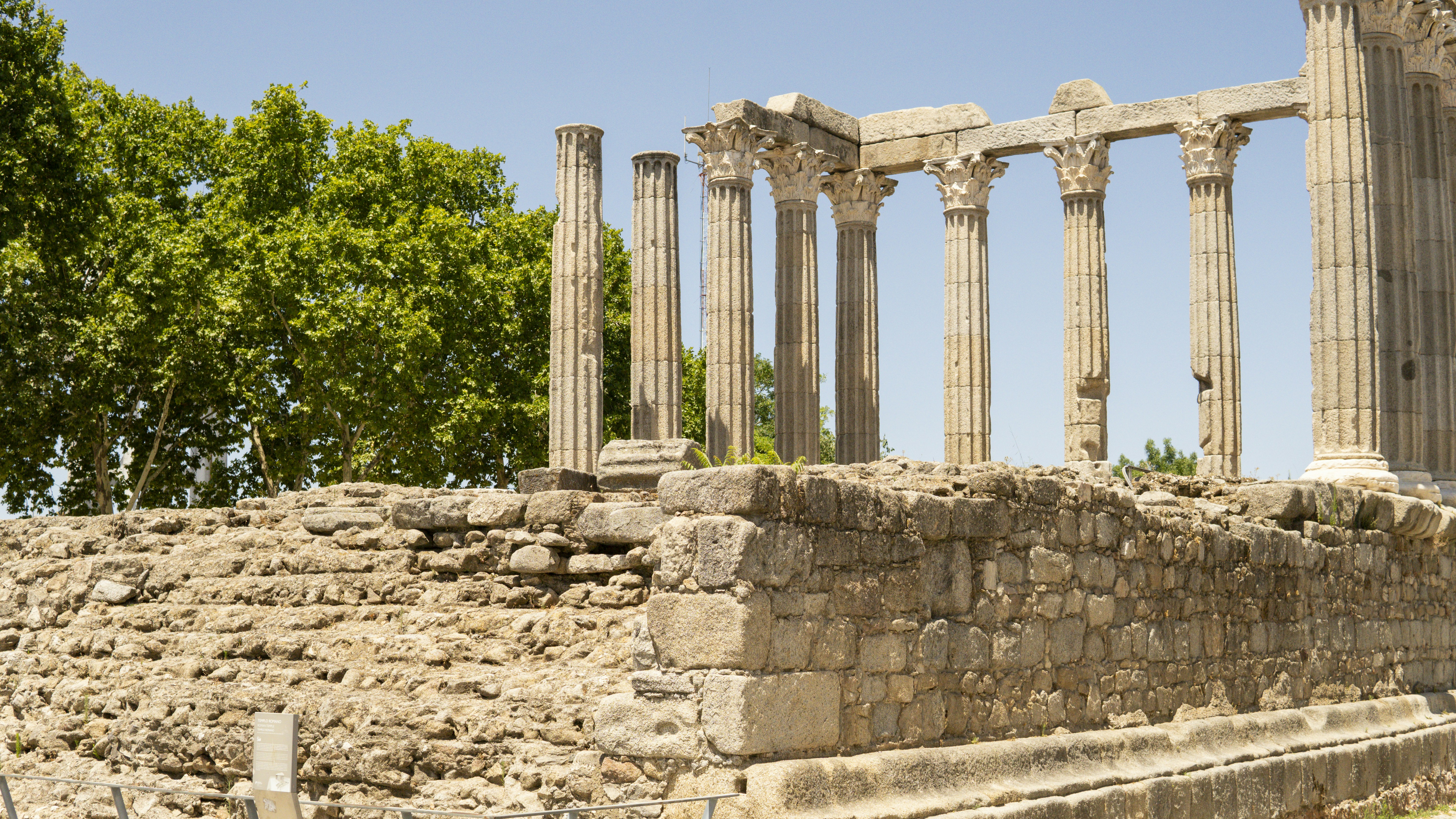 Photo by Miriam Pereira with Sony Alpha 6400