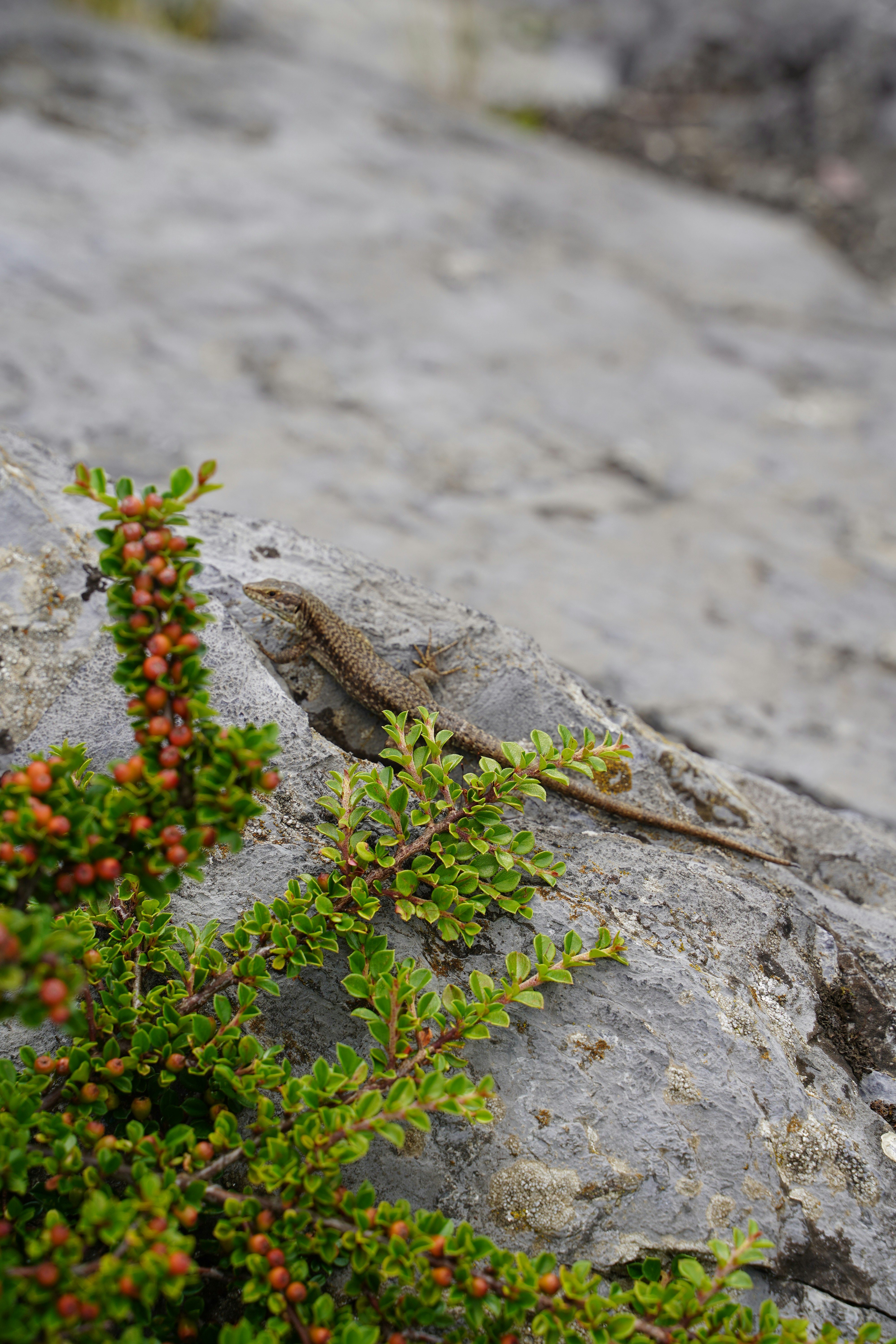 Sweet little friend.