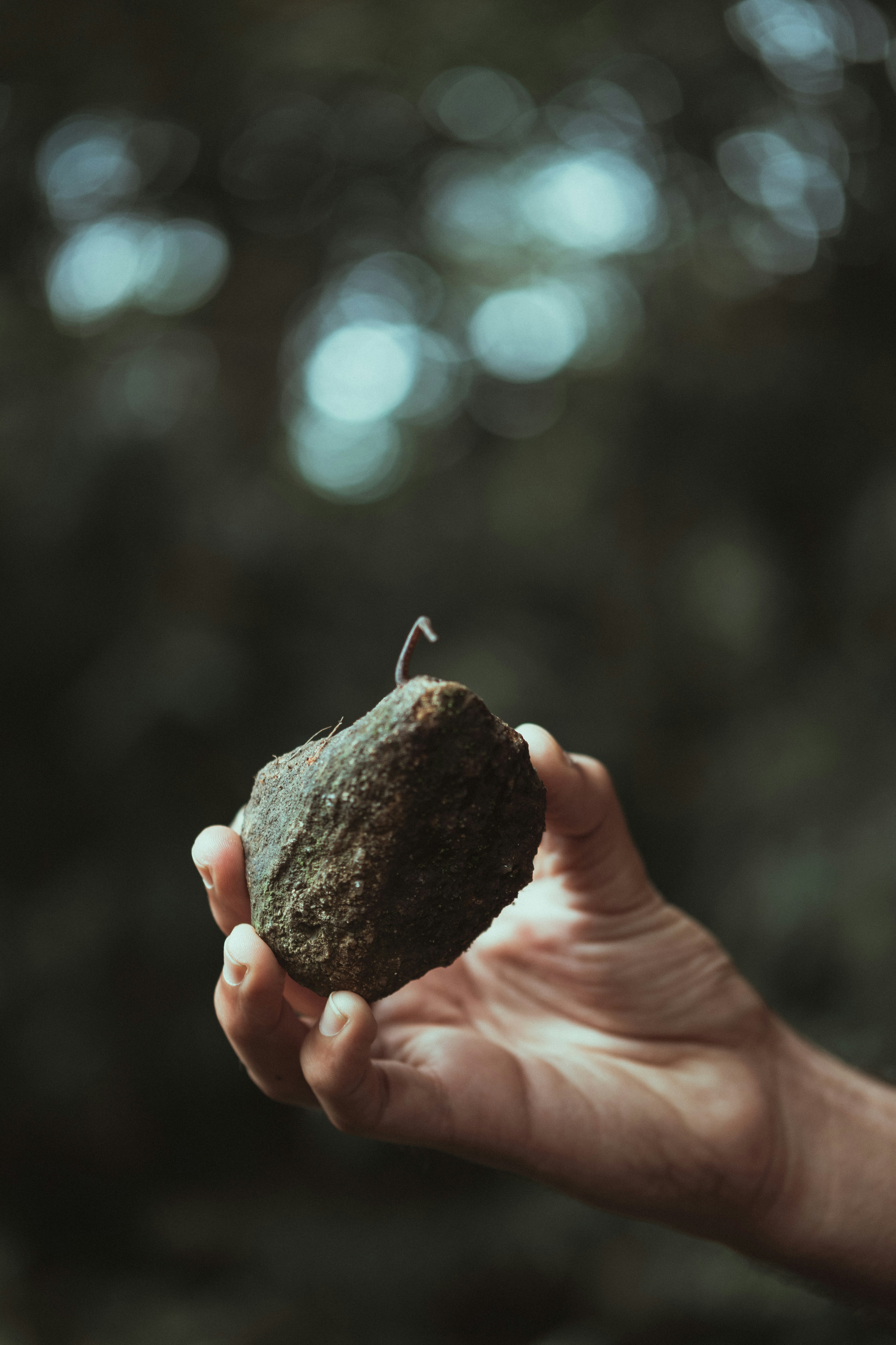 A person holding a rock in their hand photo – Free Grey Image on Unsplash