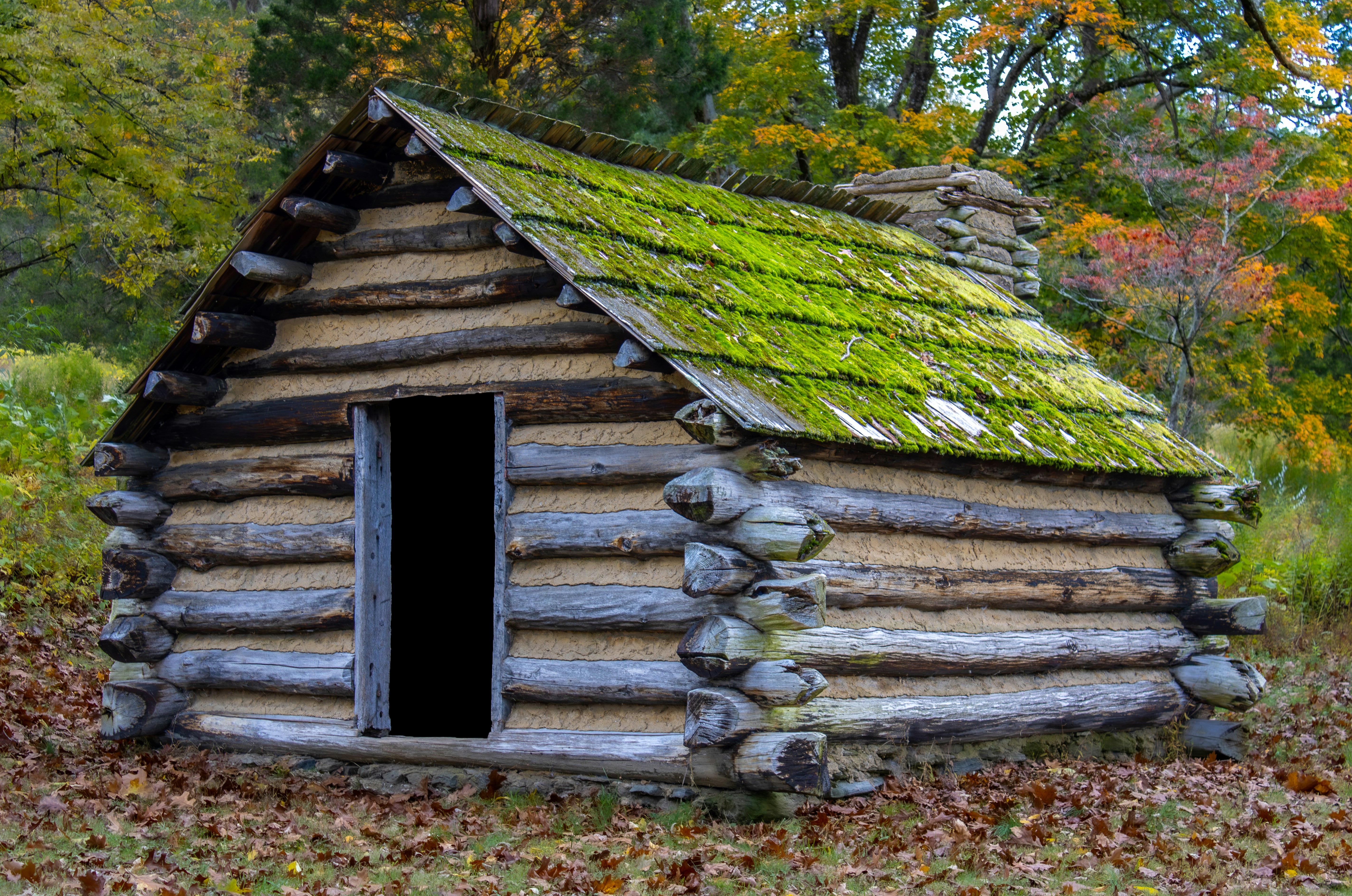 A log cabin with moss growing on the roof photo – Free Outdoors Image ...