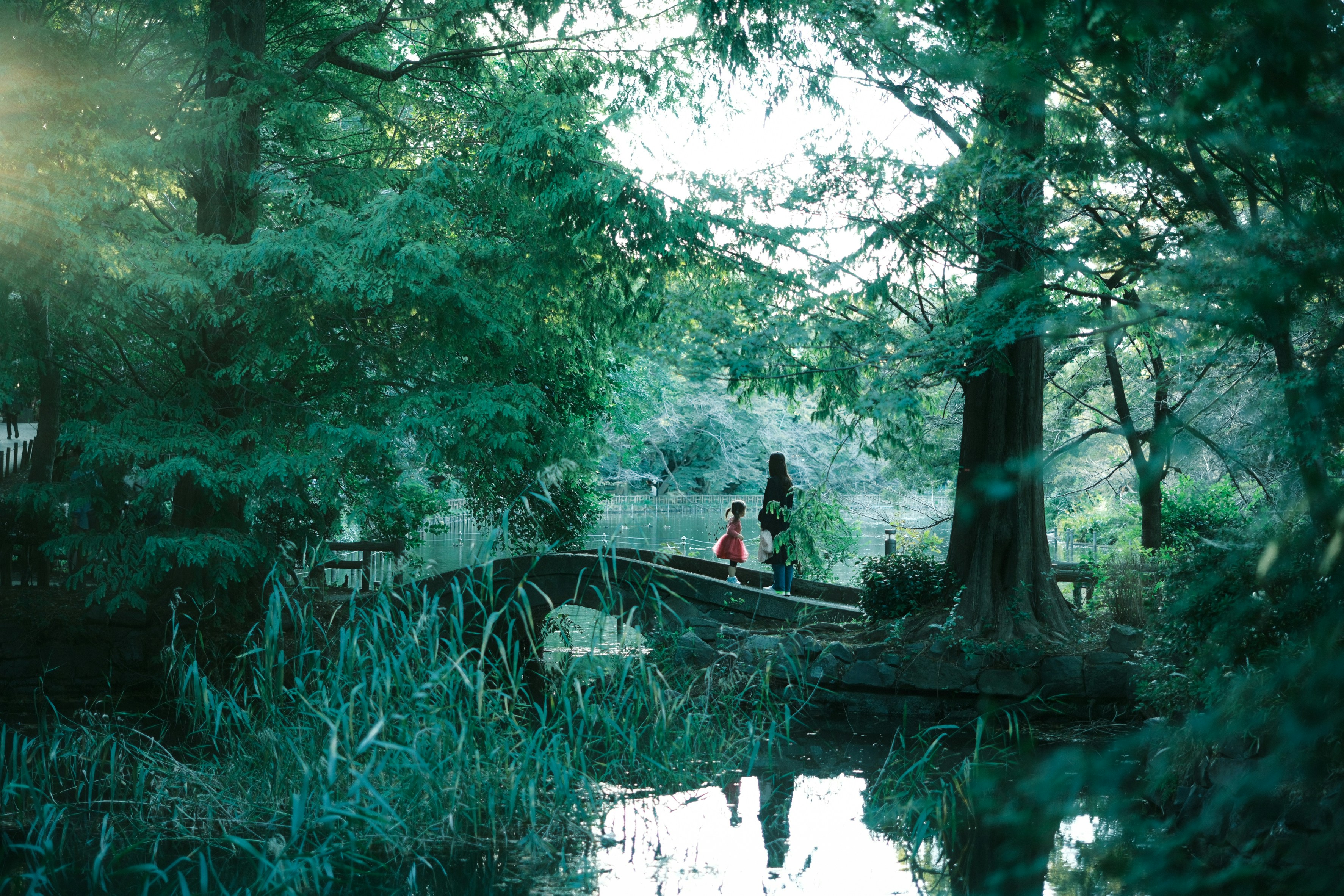 Bridge of Quiet Light: Two Figures on a Mossy Span
