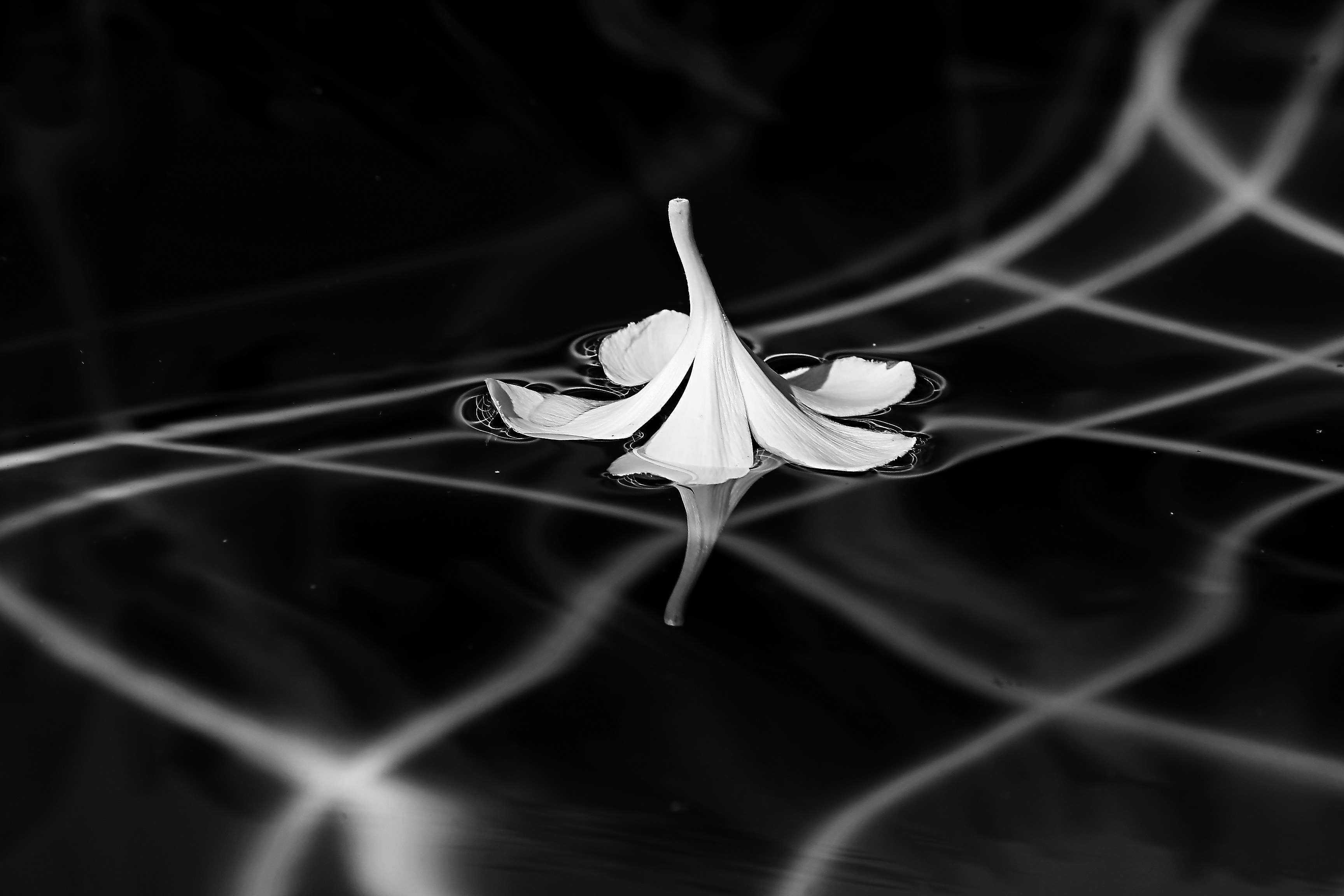 Floating flower.