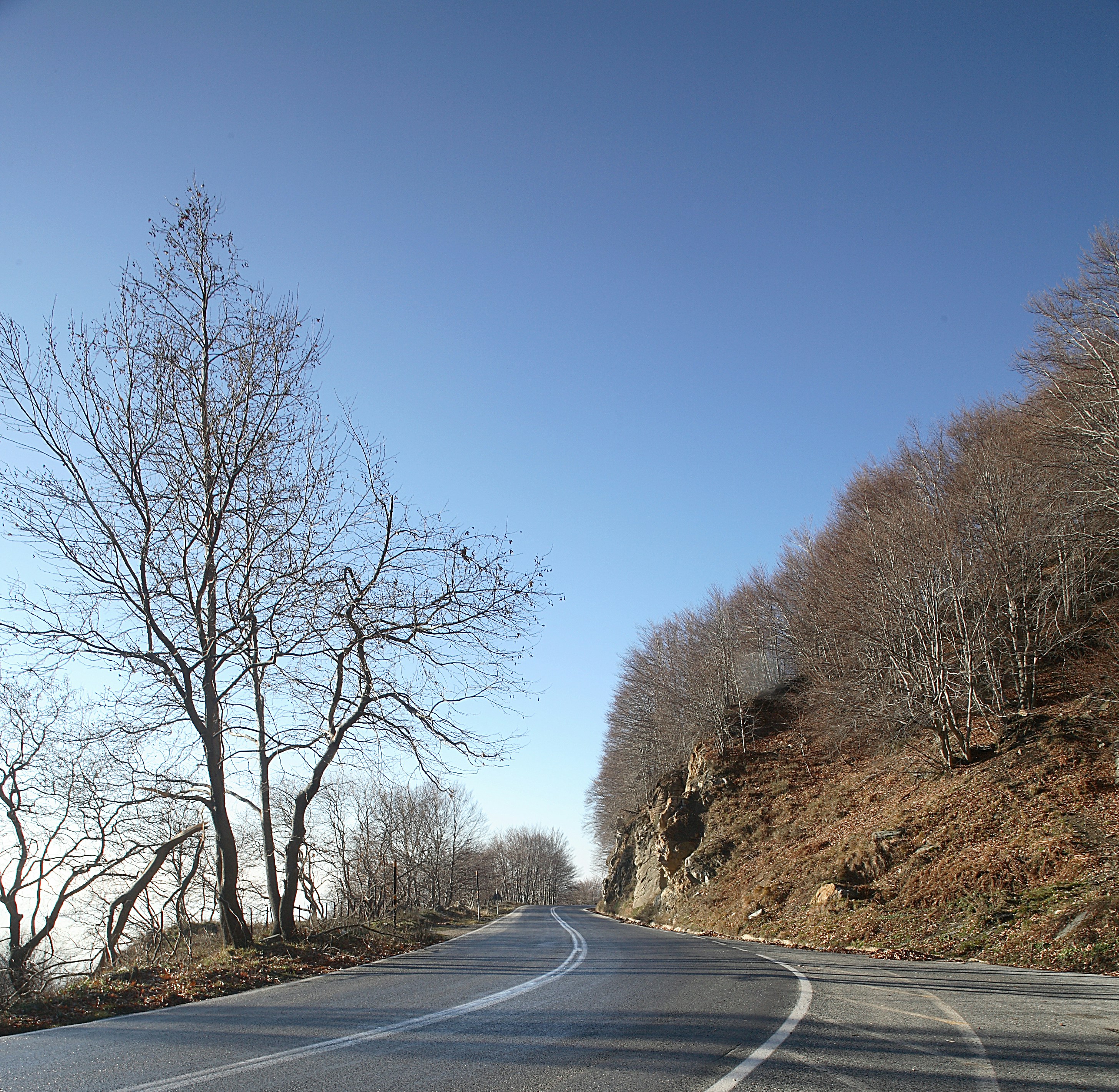 Winding Winter Road Toward a Quiet Crest