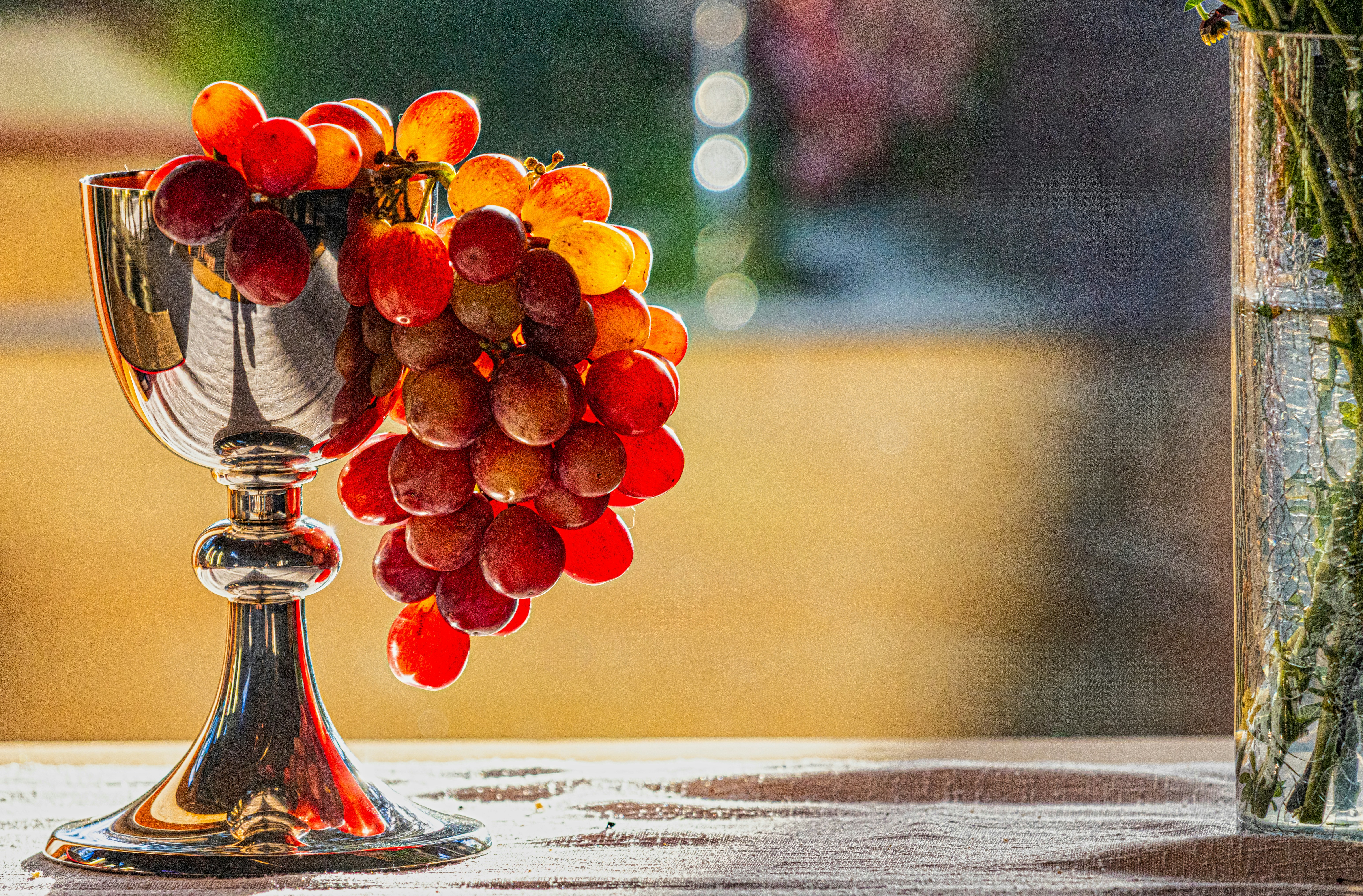 Grapes in a Silver Goblet Bathed in Warm Daylight