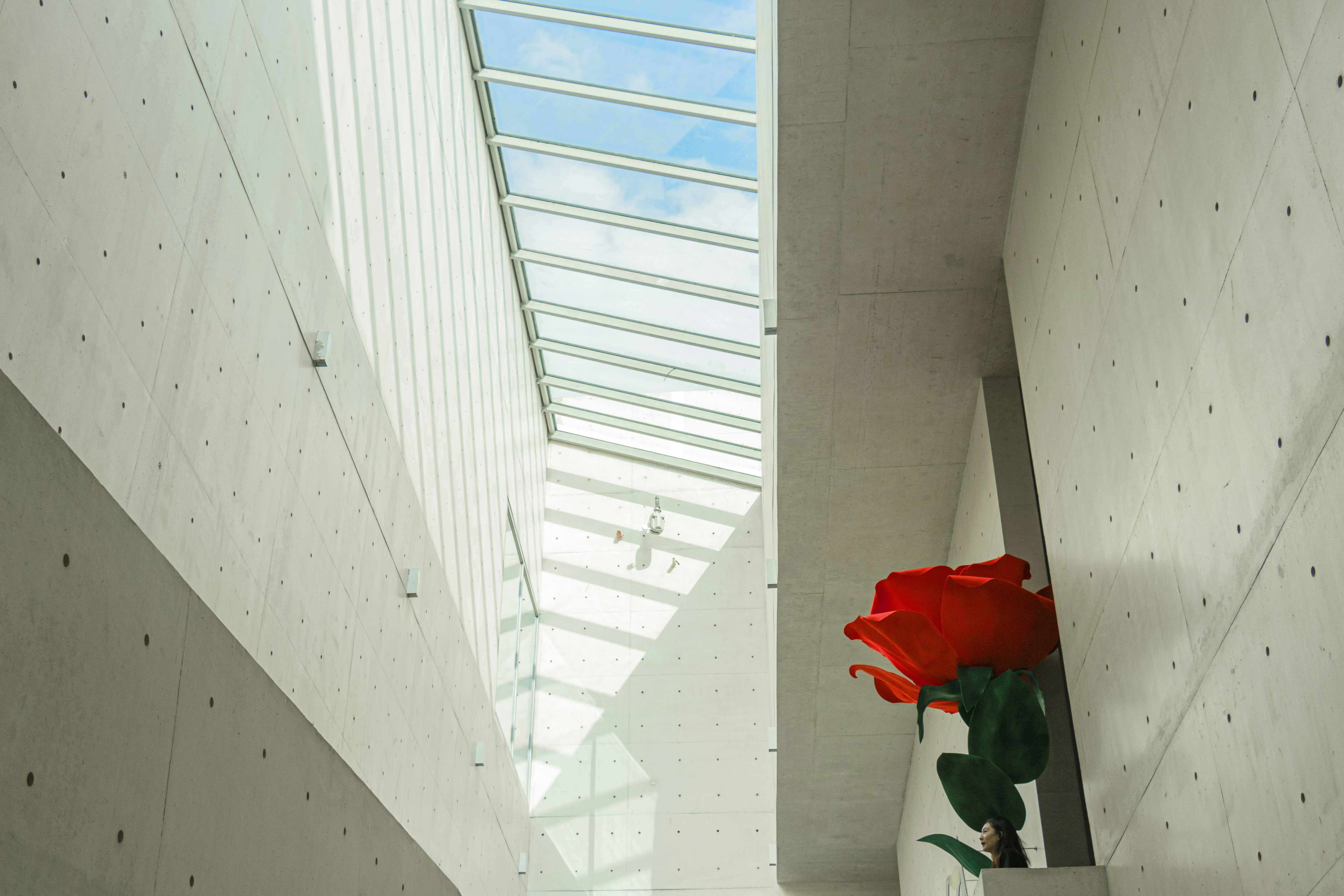 Crimson Bloom among Concrete Canopies: Skylit Atrium Geometry