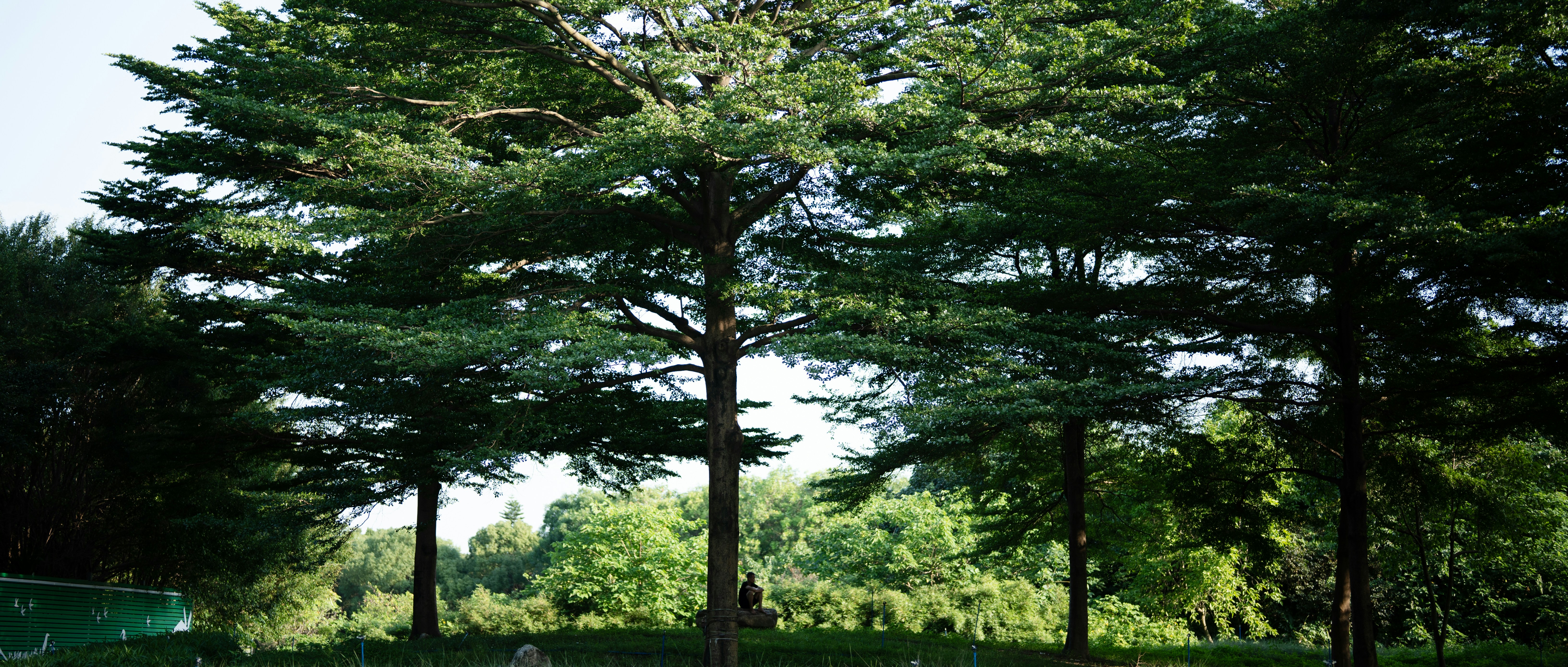 Photo by BK201 with Sony Alpha 7 IV