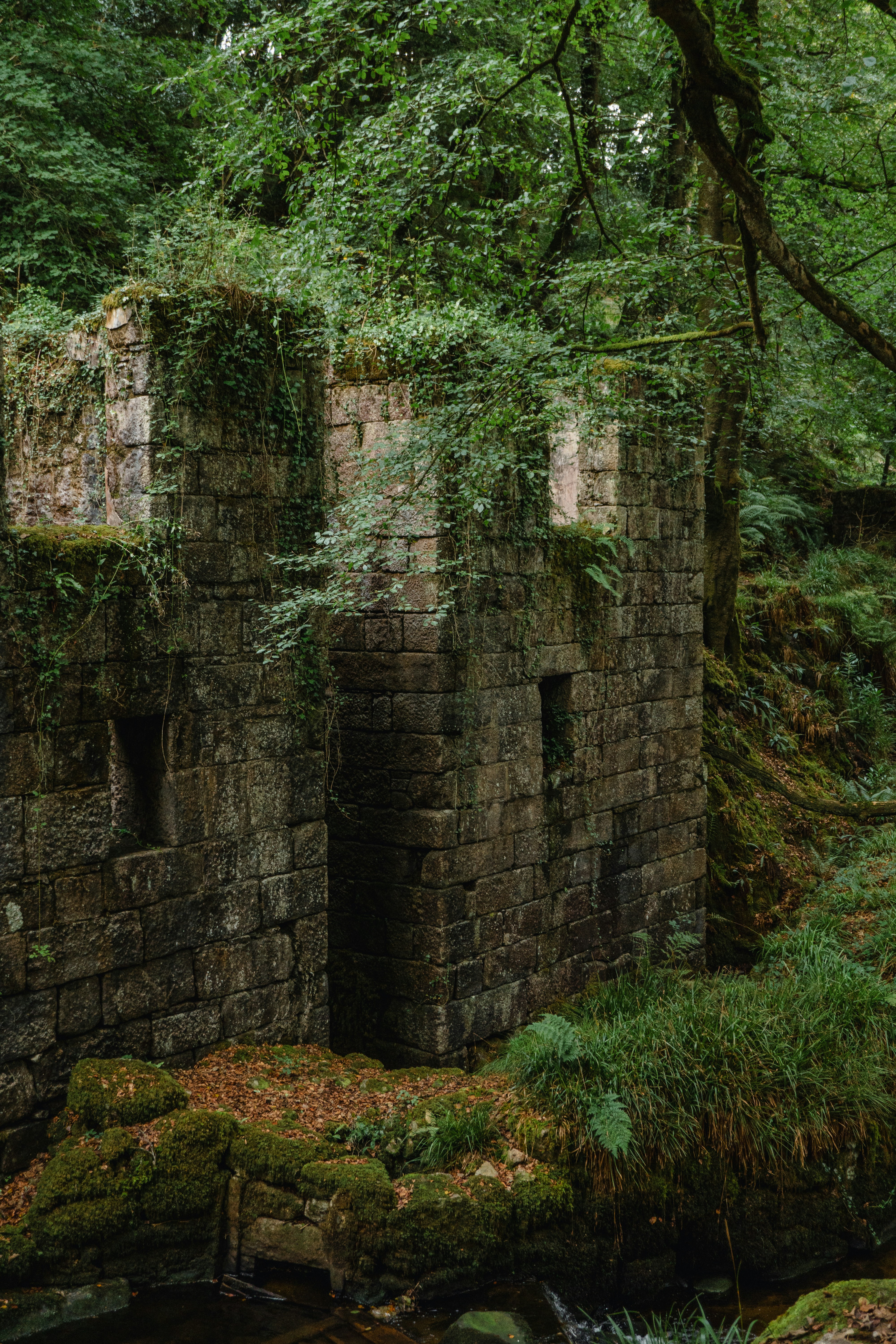 Photo by Adam Bignell with Sony Alpha 6400