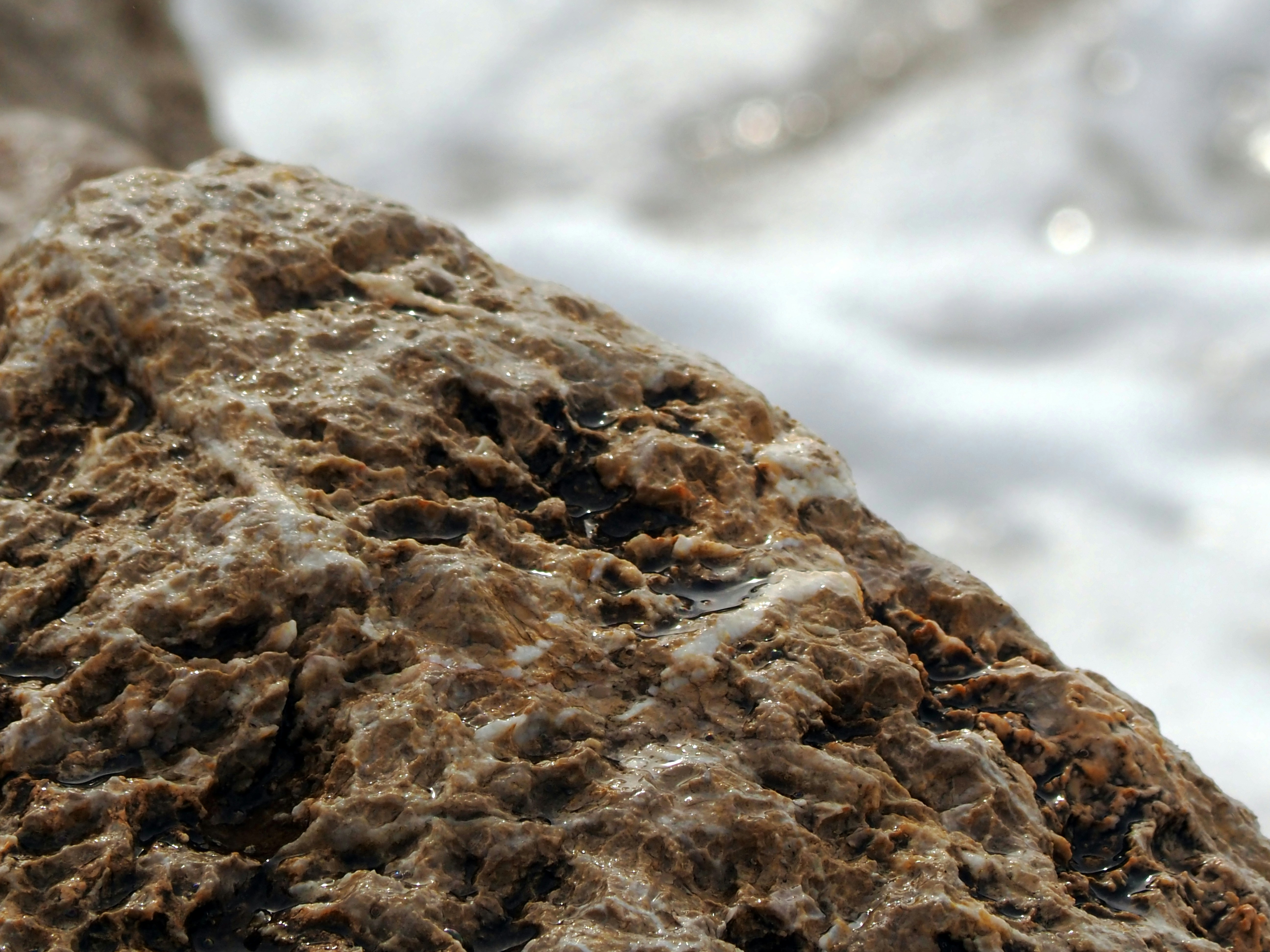 Rough-textured rock juxtaposed with soft, foamy ocean waves.
