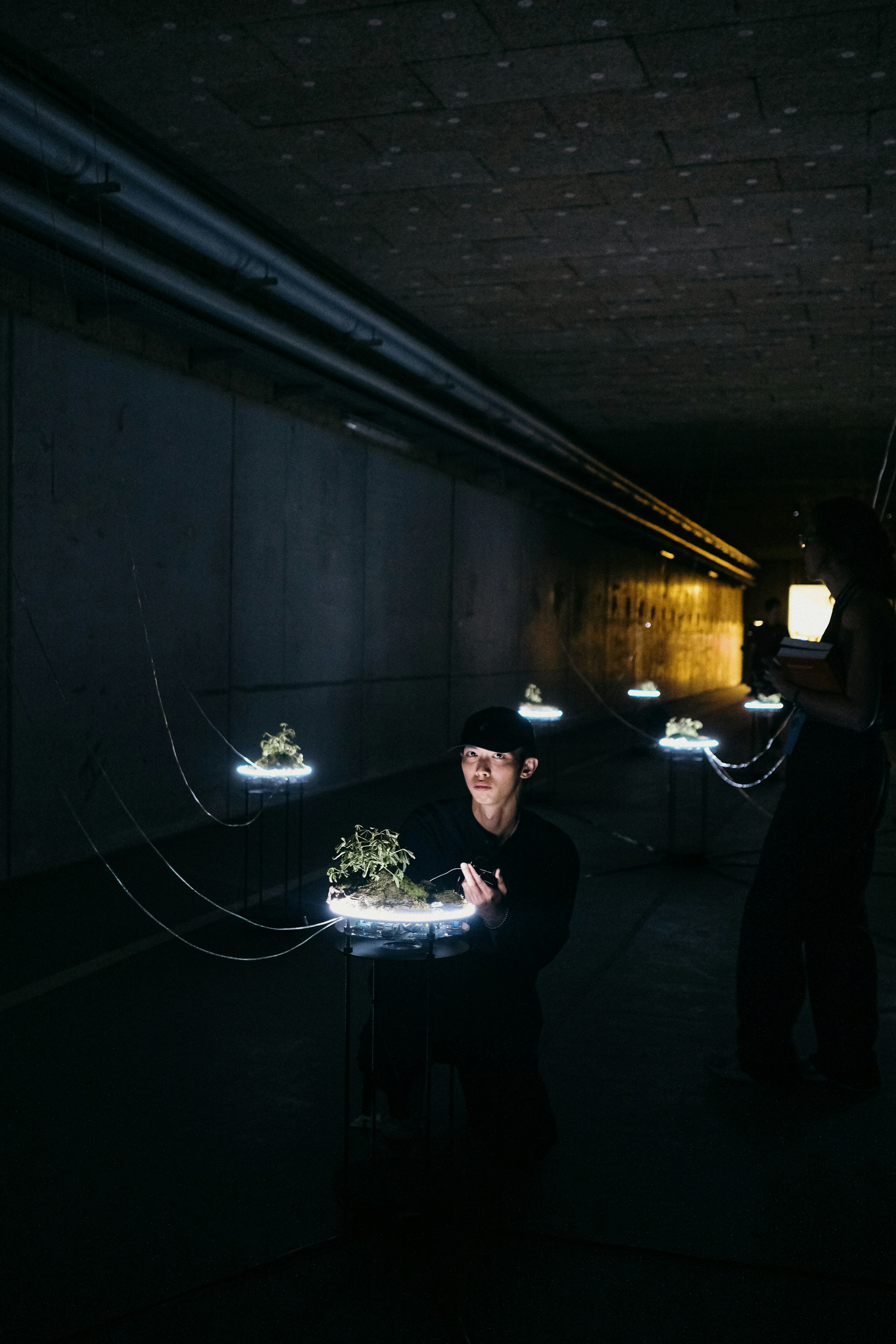 A person kneeling beside illuminated plants in a dimly lit tunnel, creating a contrast between nature and urban environment.