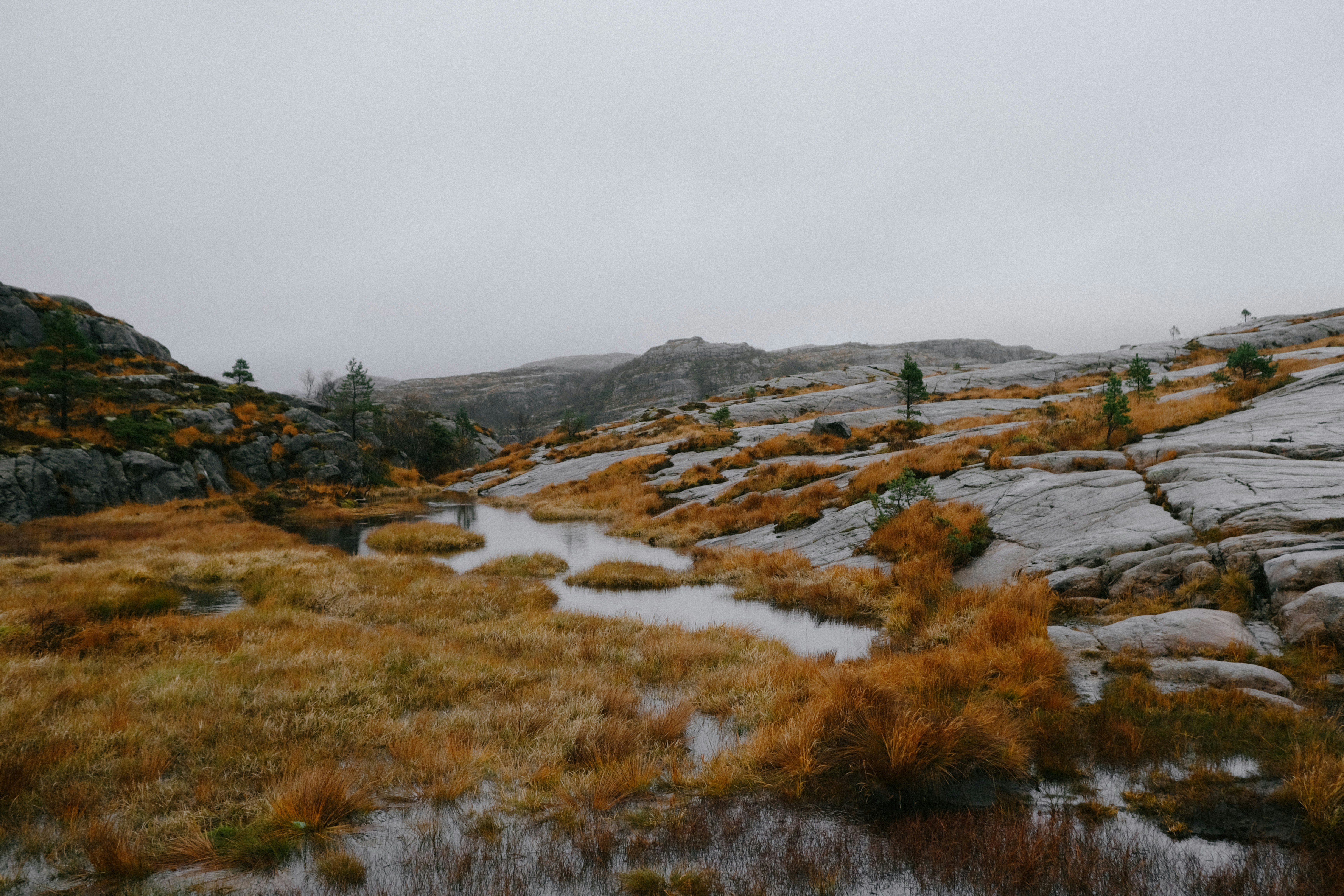 A small stream running through a grass covered hillside photo – Free ...