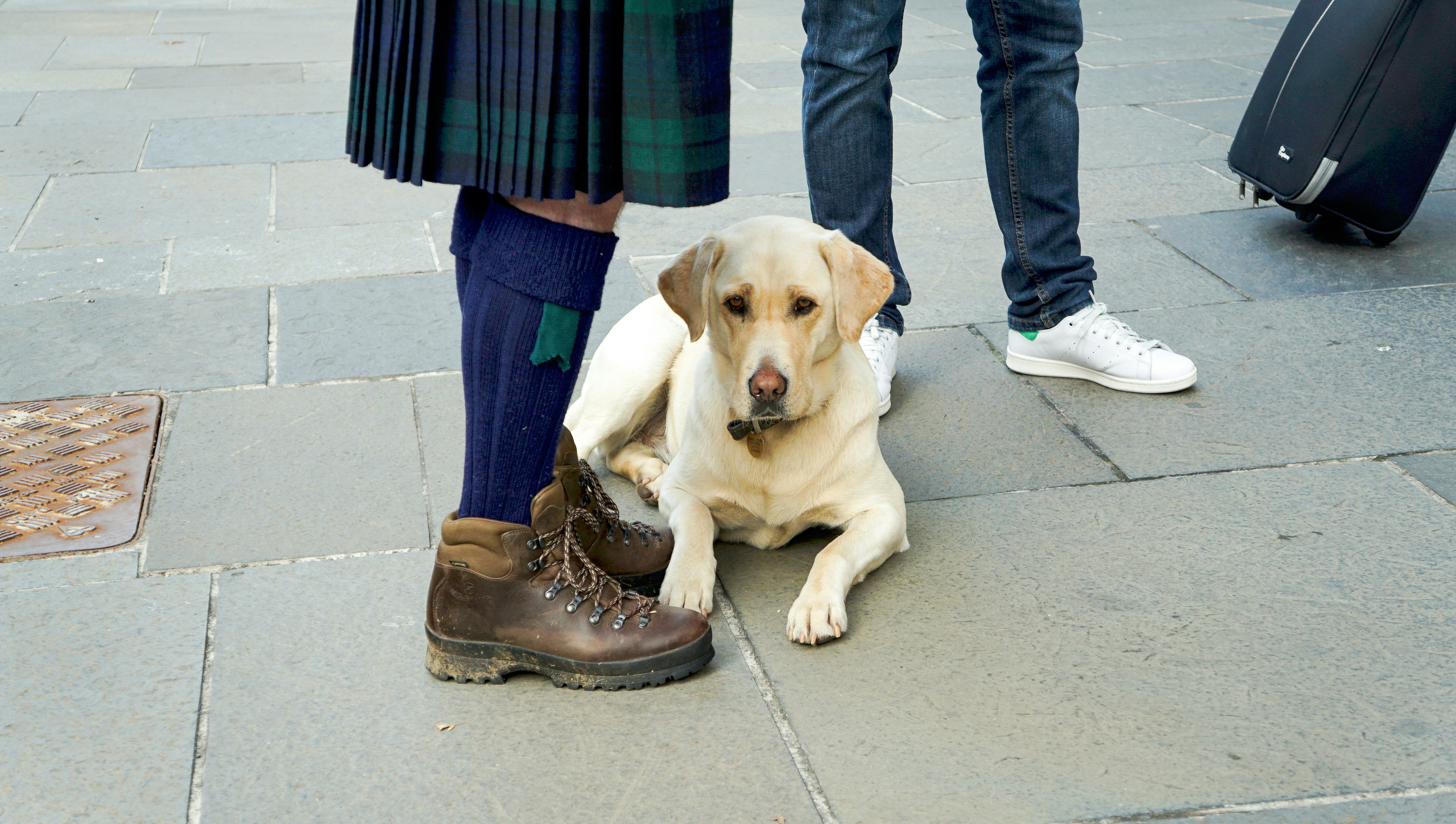 Between Boots and a Labrador's Gaze: a City Pause