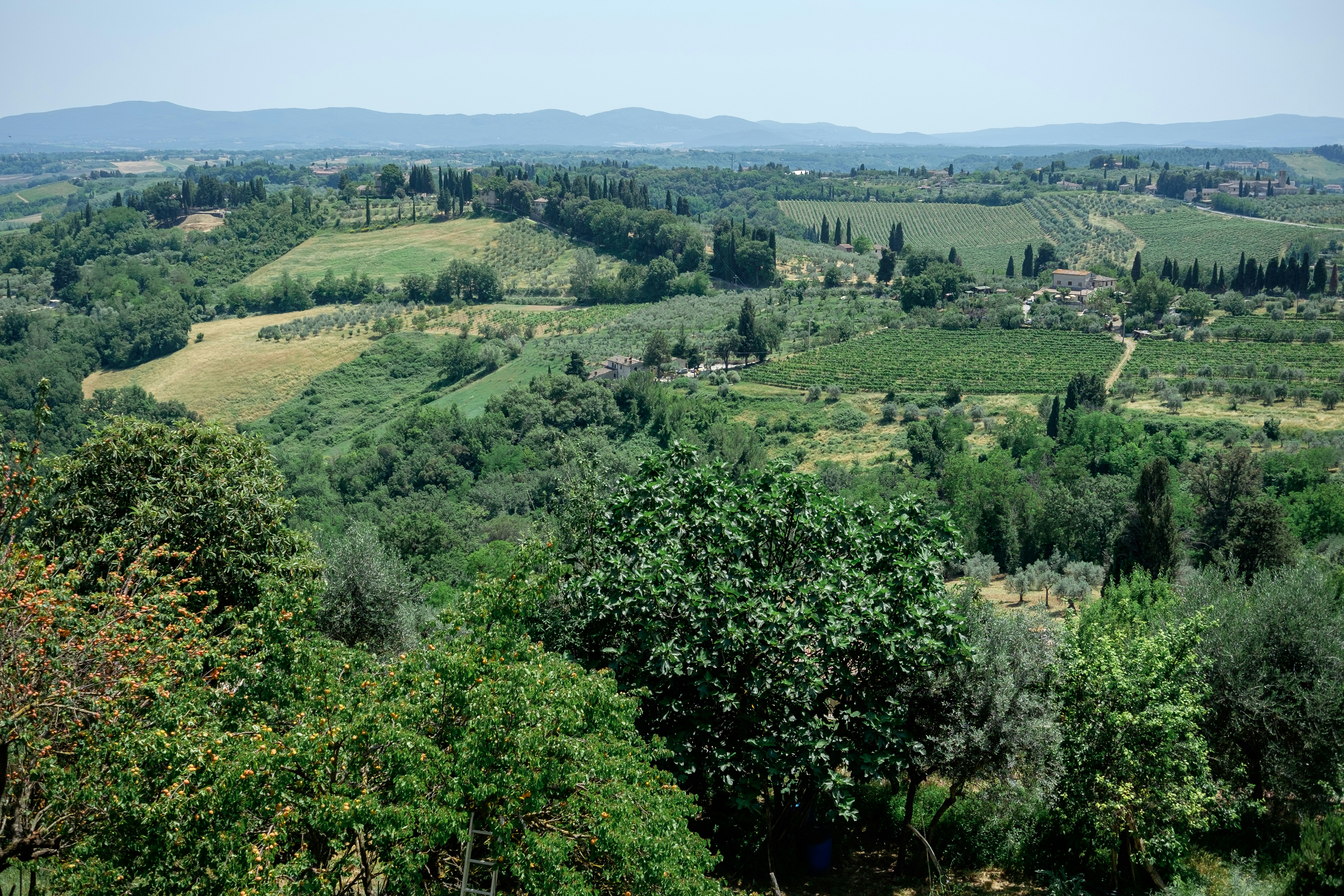 Photo by Mayumi Maciel with Fujifilm X-T10