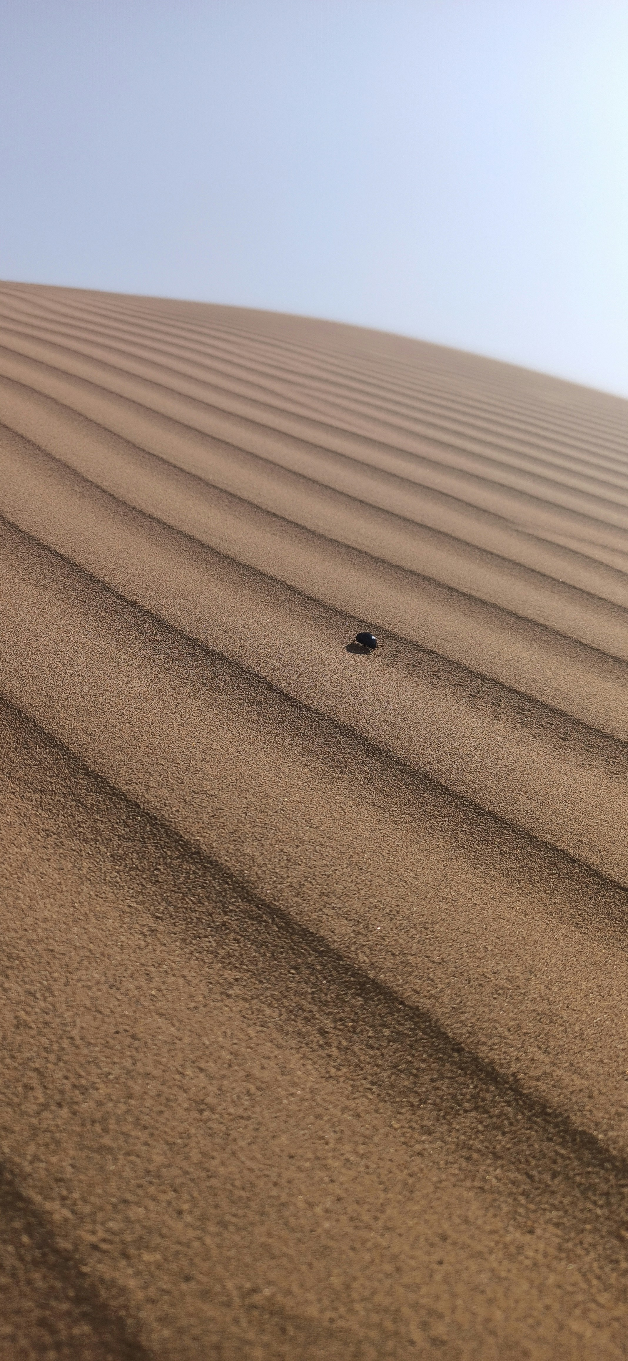 A lone black object in the middle of a desert photo – Free Nature Image ...